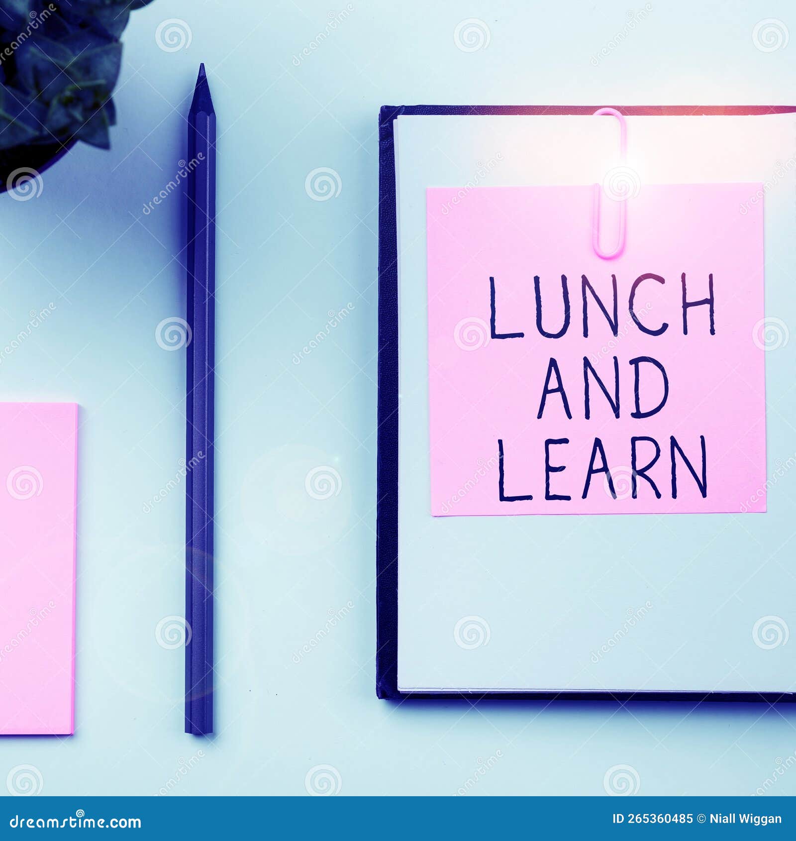 Conceptual Display Lunch and Learn. Conceptual Photo Have Meal and ...