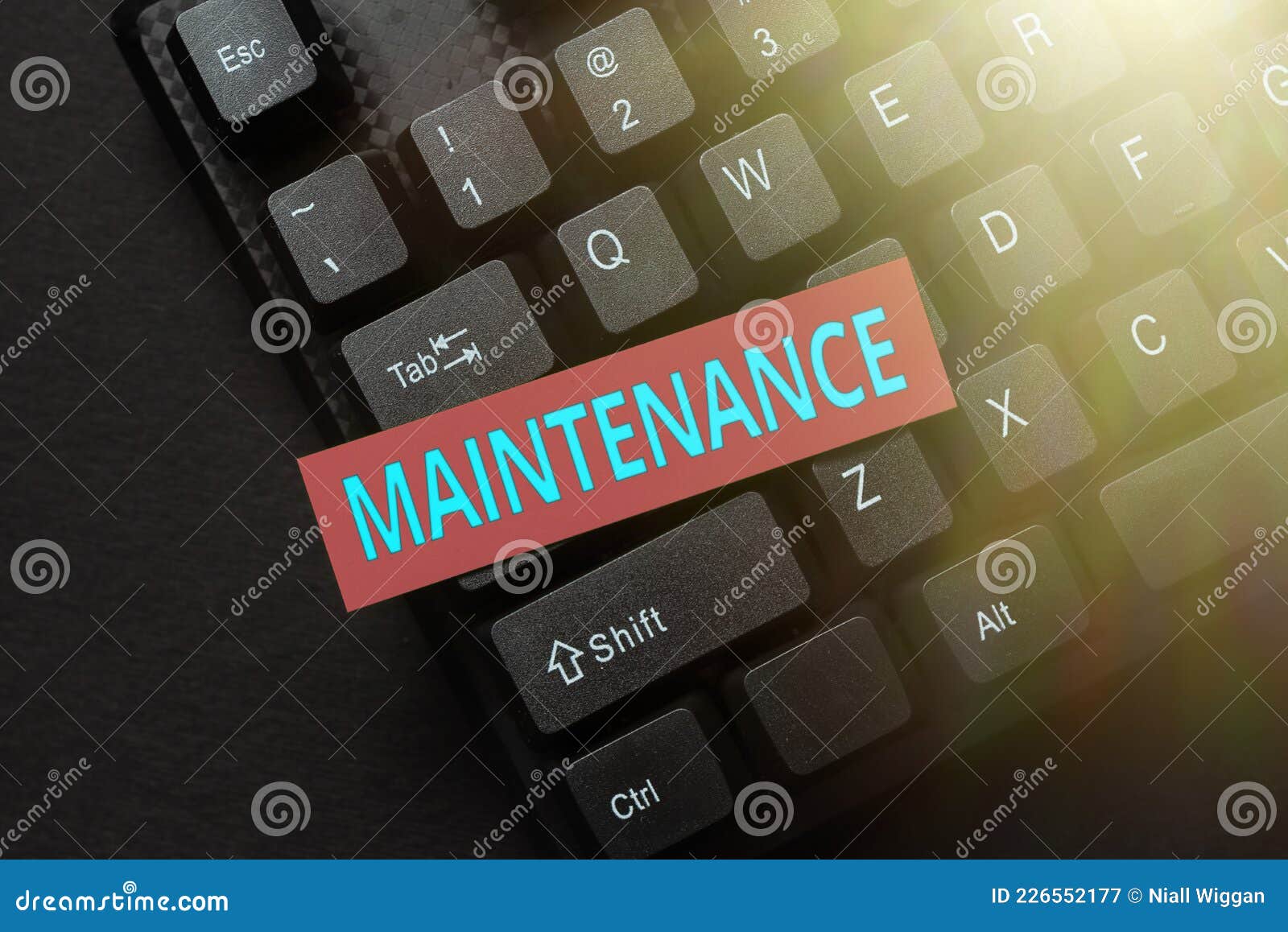 Conceptual Display Maintenance. Concept Meaning Method of Preserving or ...