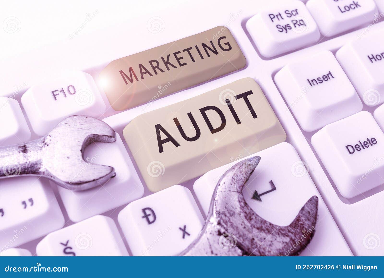 Conceptual Caption Marketing Audit. Business Showcase Examination and ... Conceptual Caption Marketing Audit. Business Showcase Examination and ...