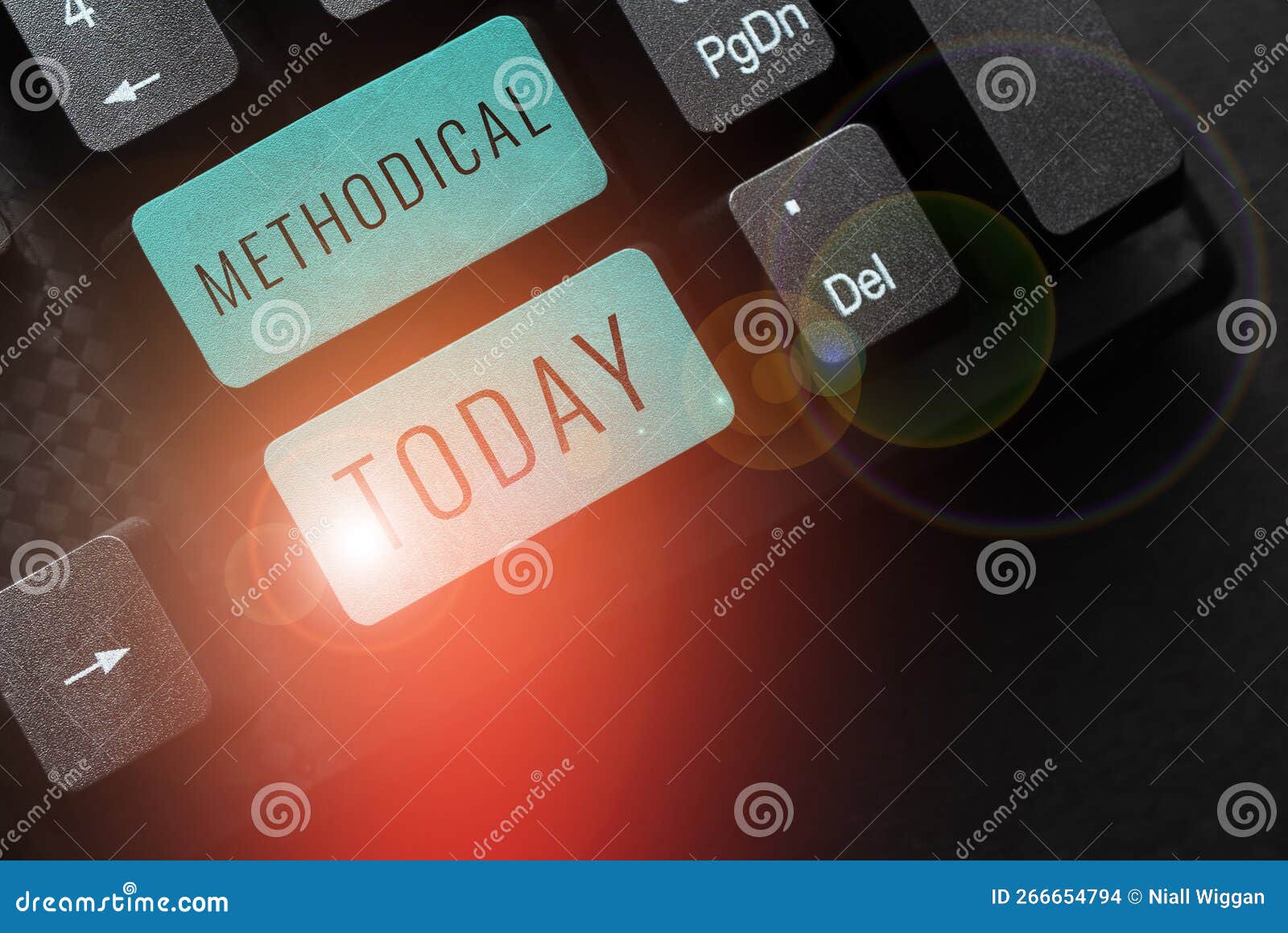 Conceptual Display Methodical. Business Overview System of Methods Used ...