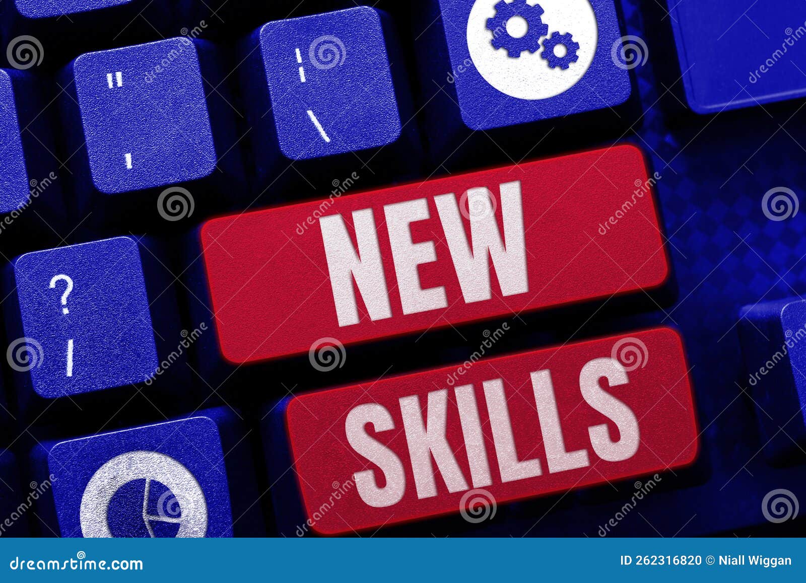 Conceptual Display New Skills. Business Overview Recently Acquired ...