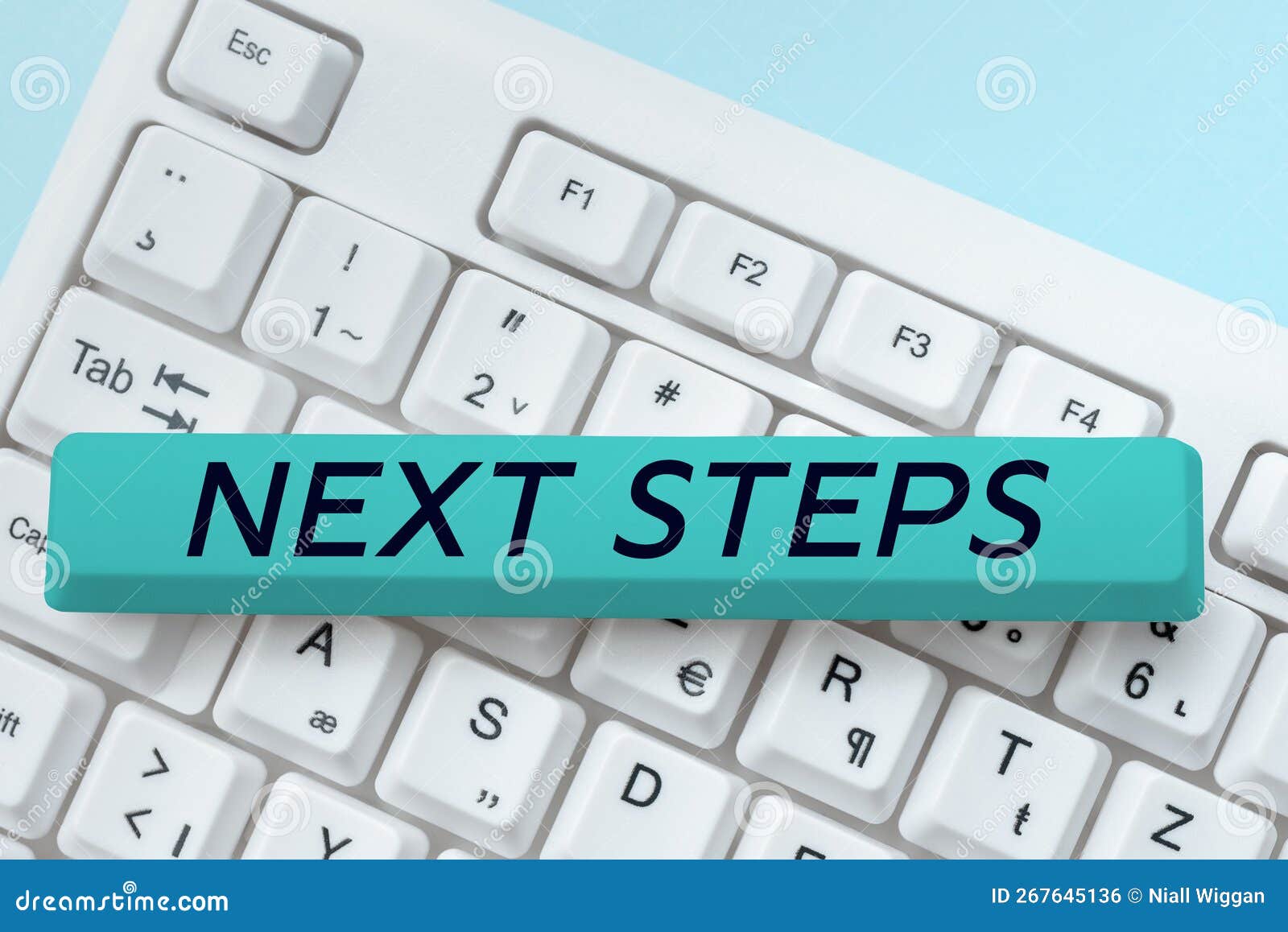 Conceptual Display Next Steps. Business Showcase Numper of Process ...