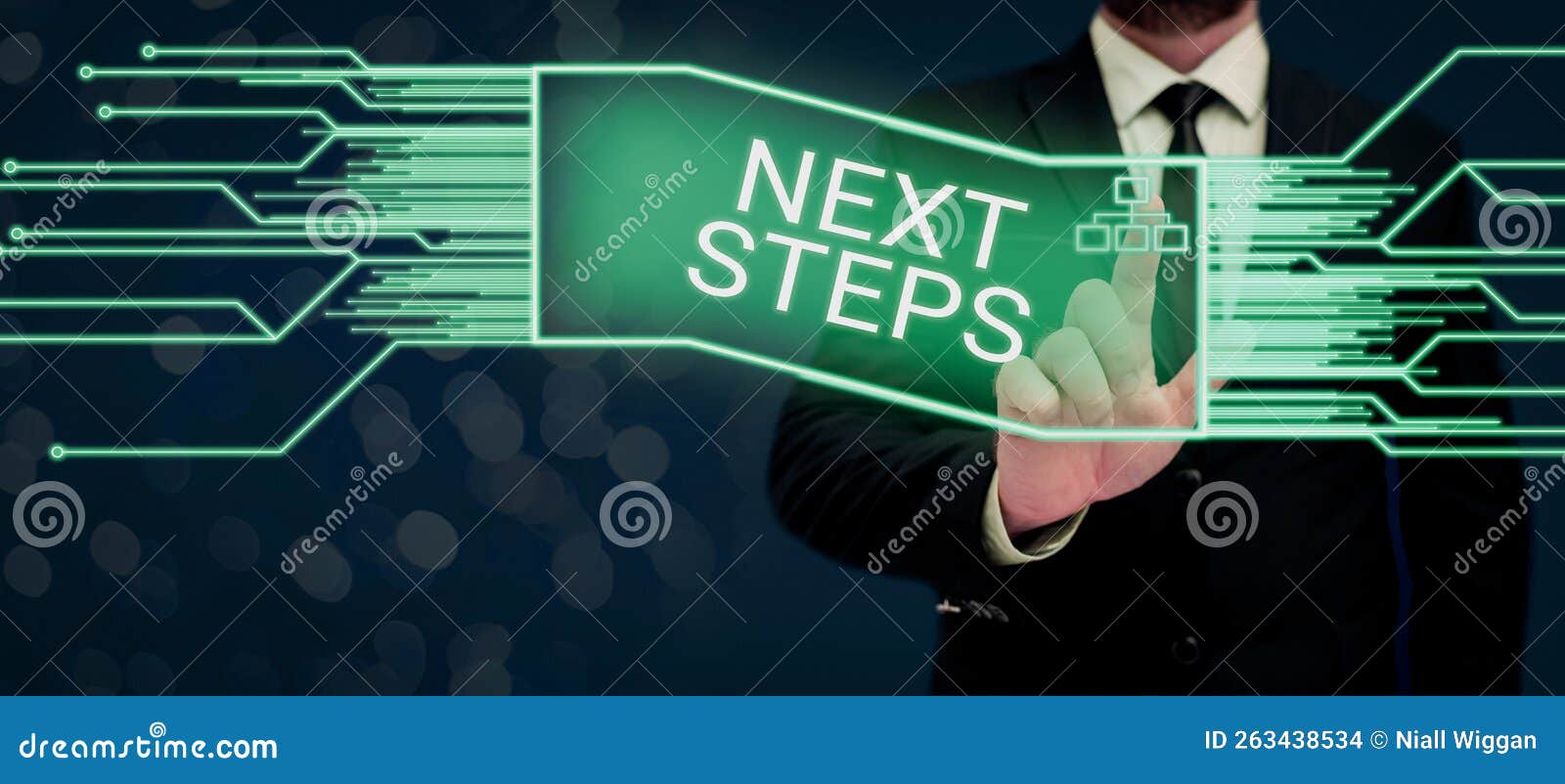 Conceptual Display Next Steps. Business Showcase Numper of Process ...