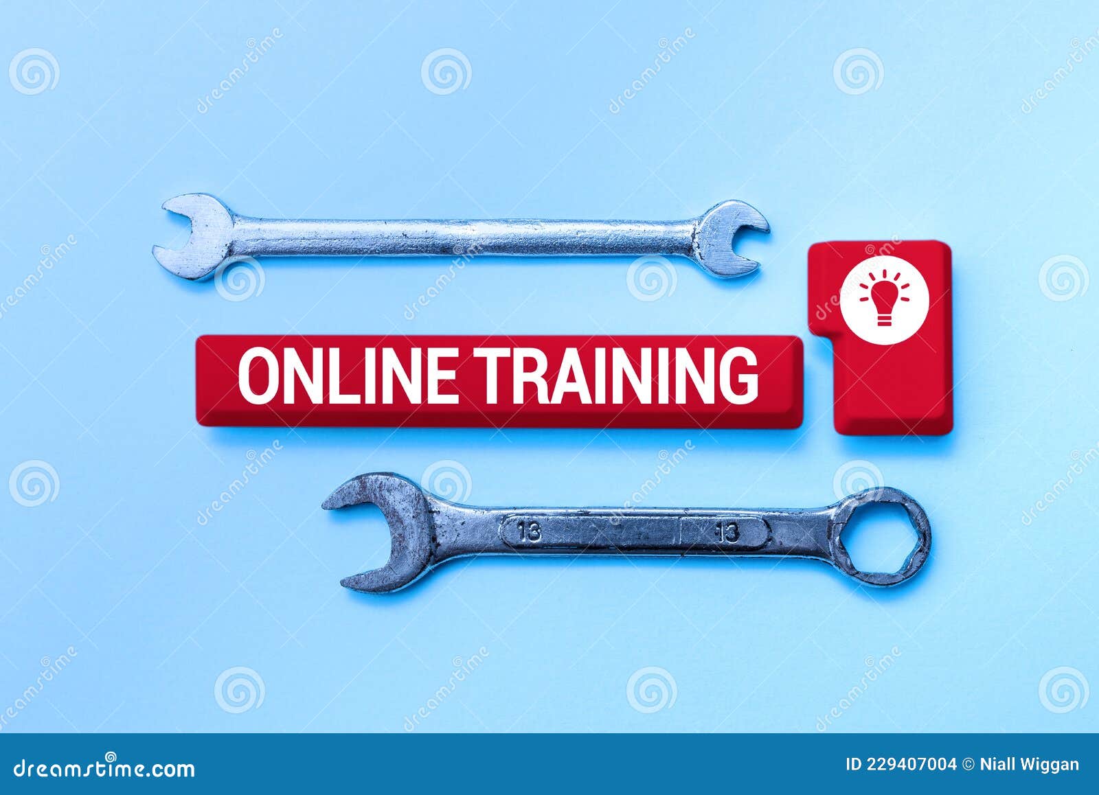 Conceptual Display Online Training. Business Showcase Computer Based ...