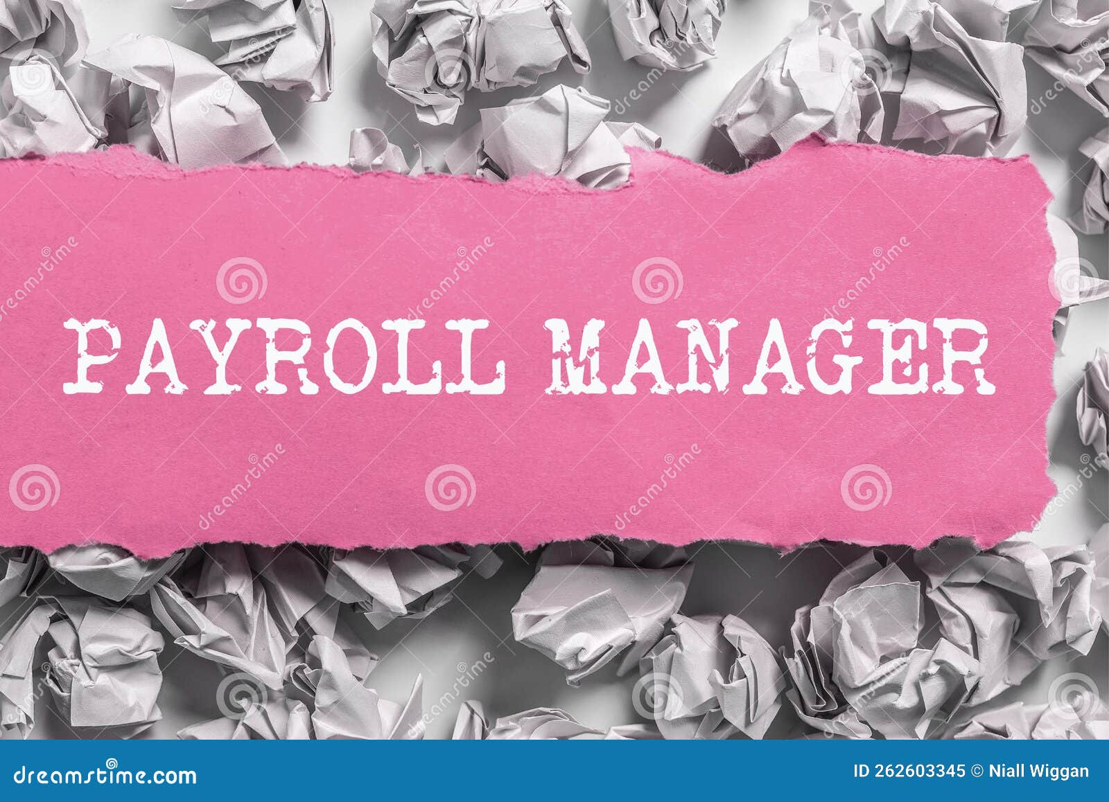 Conceptual Display Payroll Manager. Conceptual Photo Maintains Payroll ... Conceptual Display Payroll Manager. Conceptual Photo Maintains Payroll ...