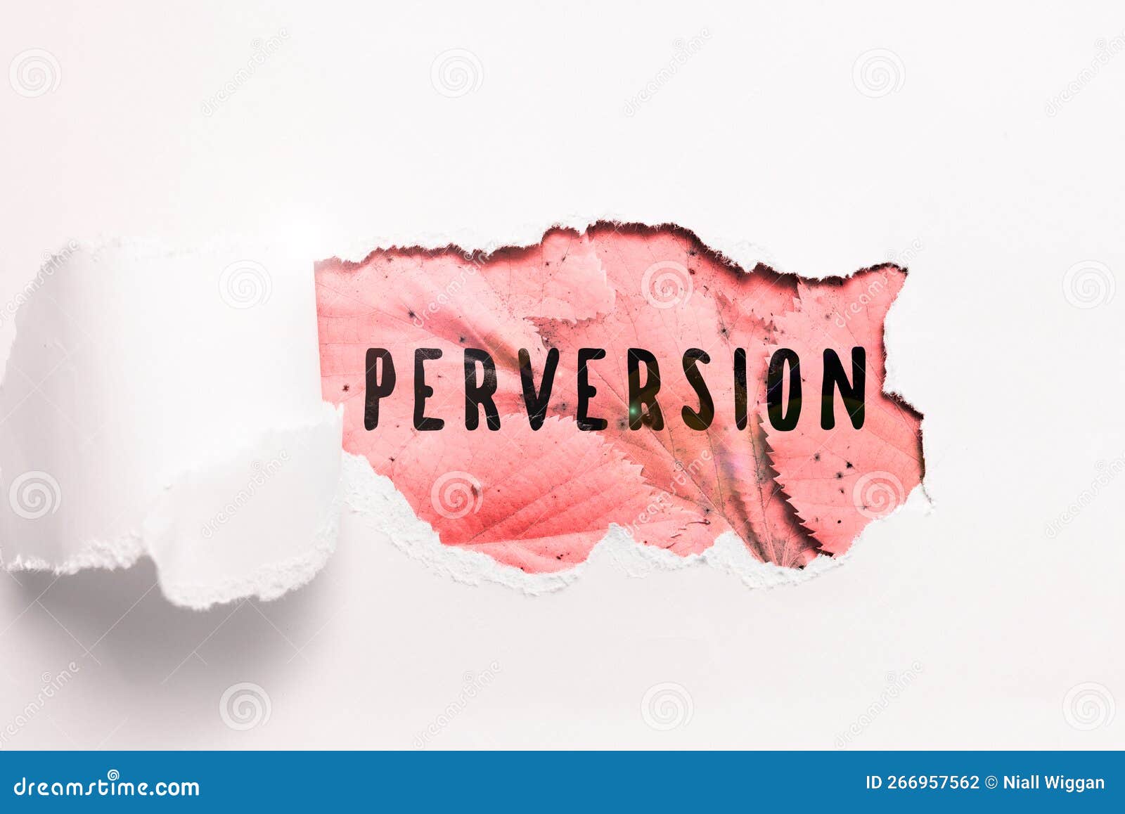 Conceptual Display Perversion. Internet Concept Describes One Whose ...