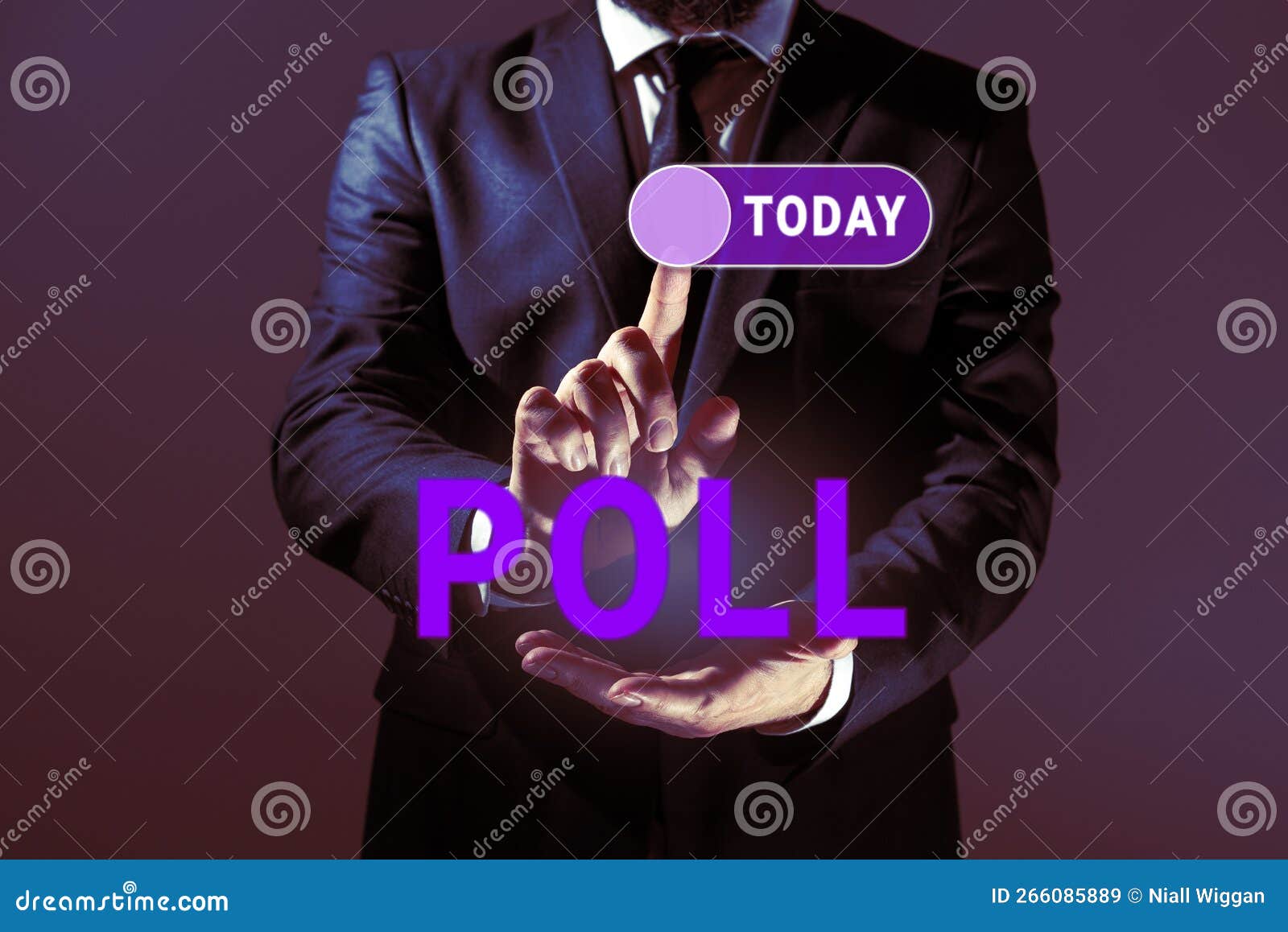 Conceptual Display Poll. Word for Record of the Number of Votes Cast in ...