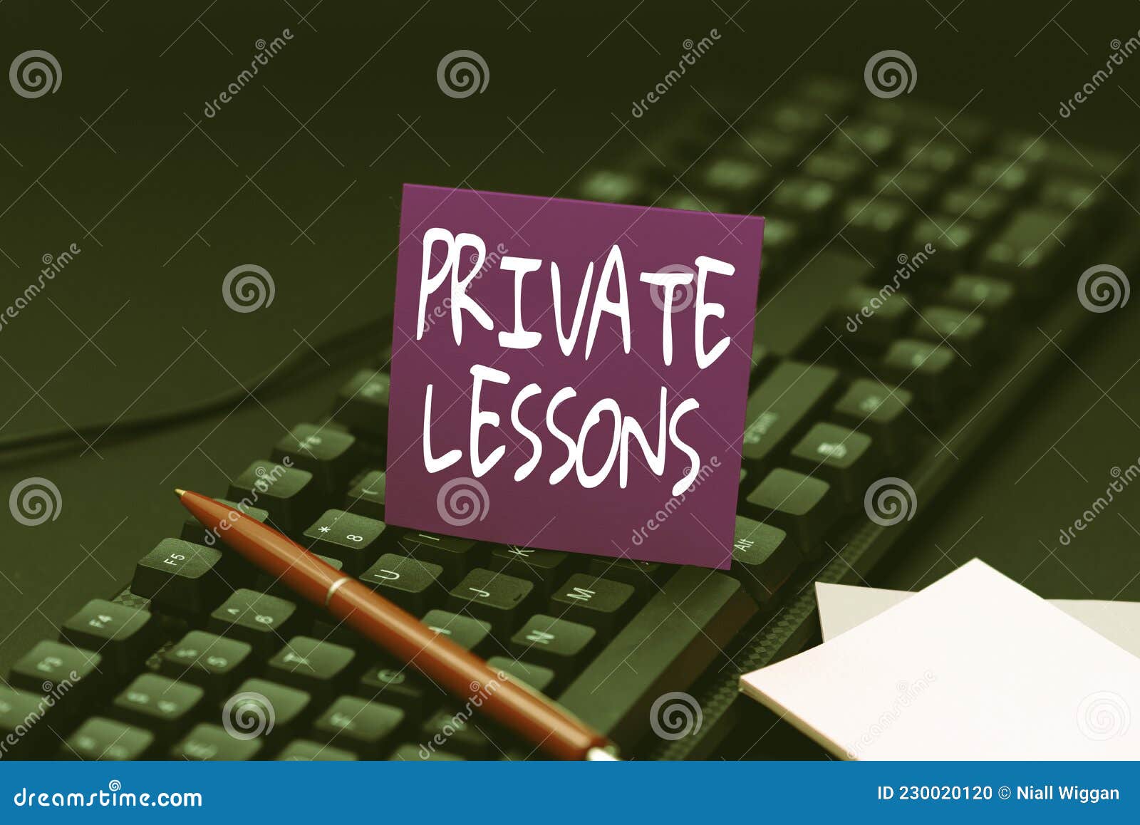 Text Sign Showing Private Lessons. Business Overview Teaching Which is ...