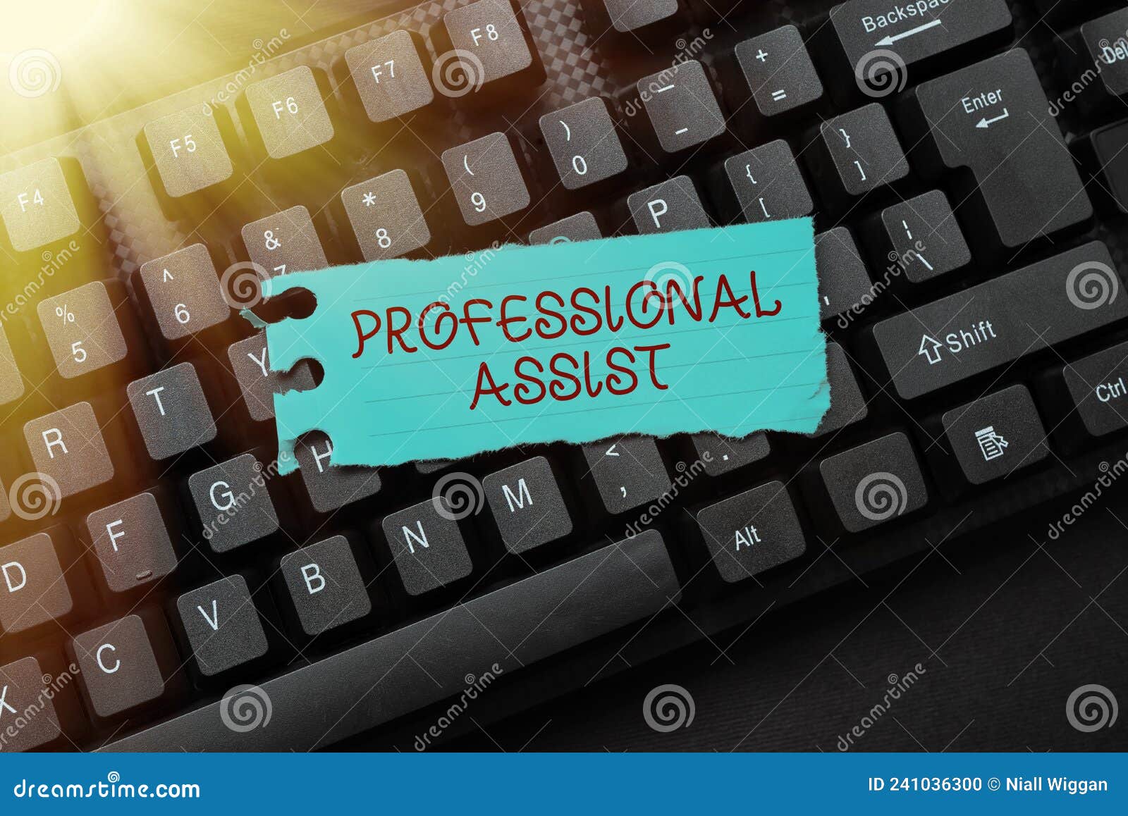 Conceptual Display Professional Assist. Business Showcase Help a ...