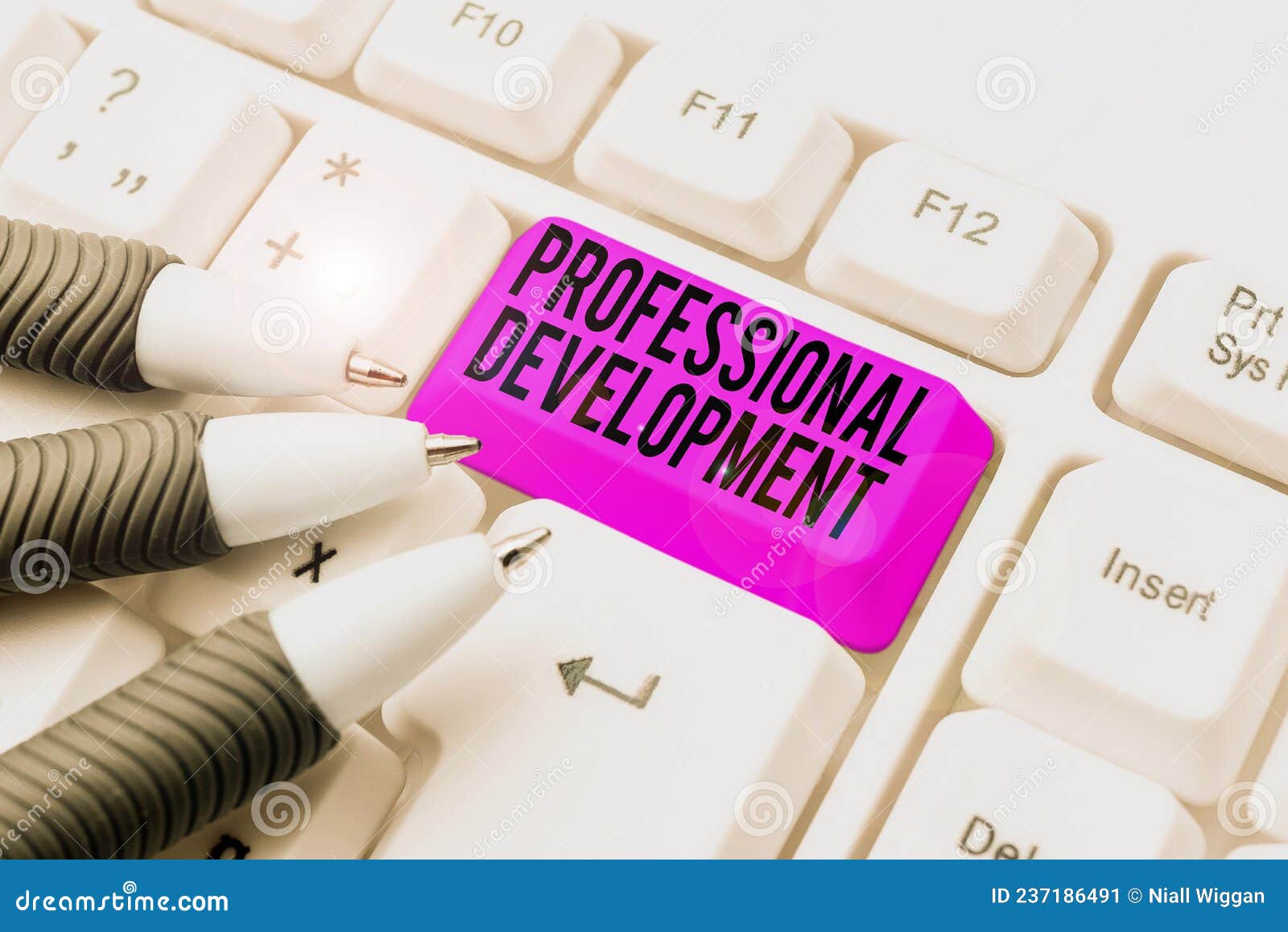 Conceptual Display Professional Development. Word for Learning To Earn ...