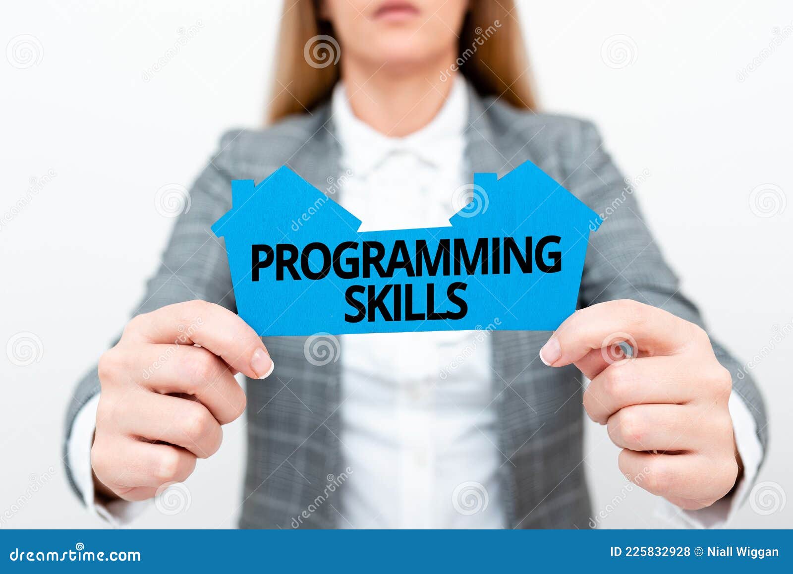 Text Caption Presenting Programming Skills. Business Approach Skills Vital To Write a Program so ...
