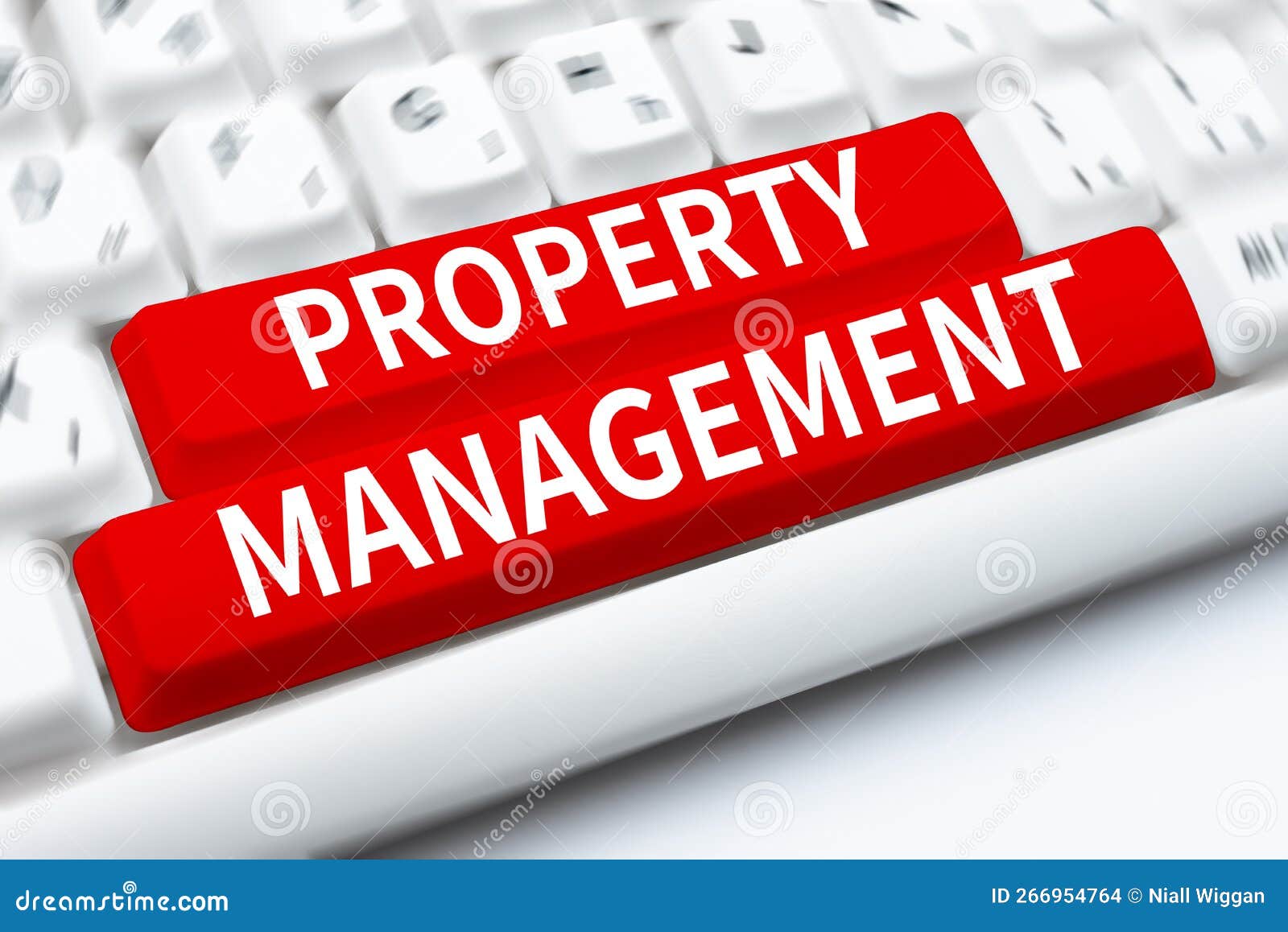 Conceptual Display Property Management. Internet Concept Overseeing of ... Conceptual Display Property Management. Internet Concept Overseeing of ...