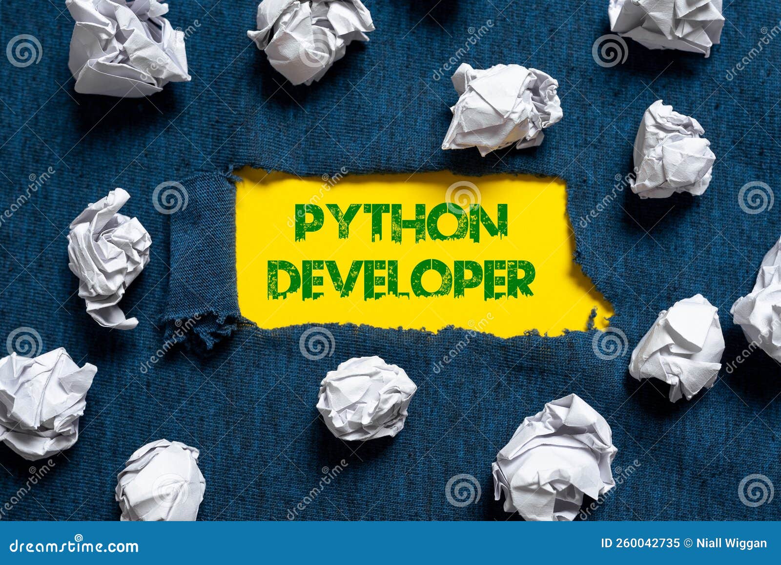 Conceptual Display Python Developer. Word for Employees are Rewarded ... Conceptual Display Python Developer. Word for Employees are Rewarded ...
