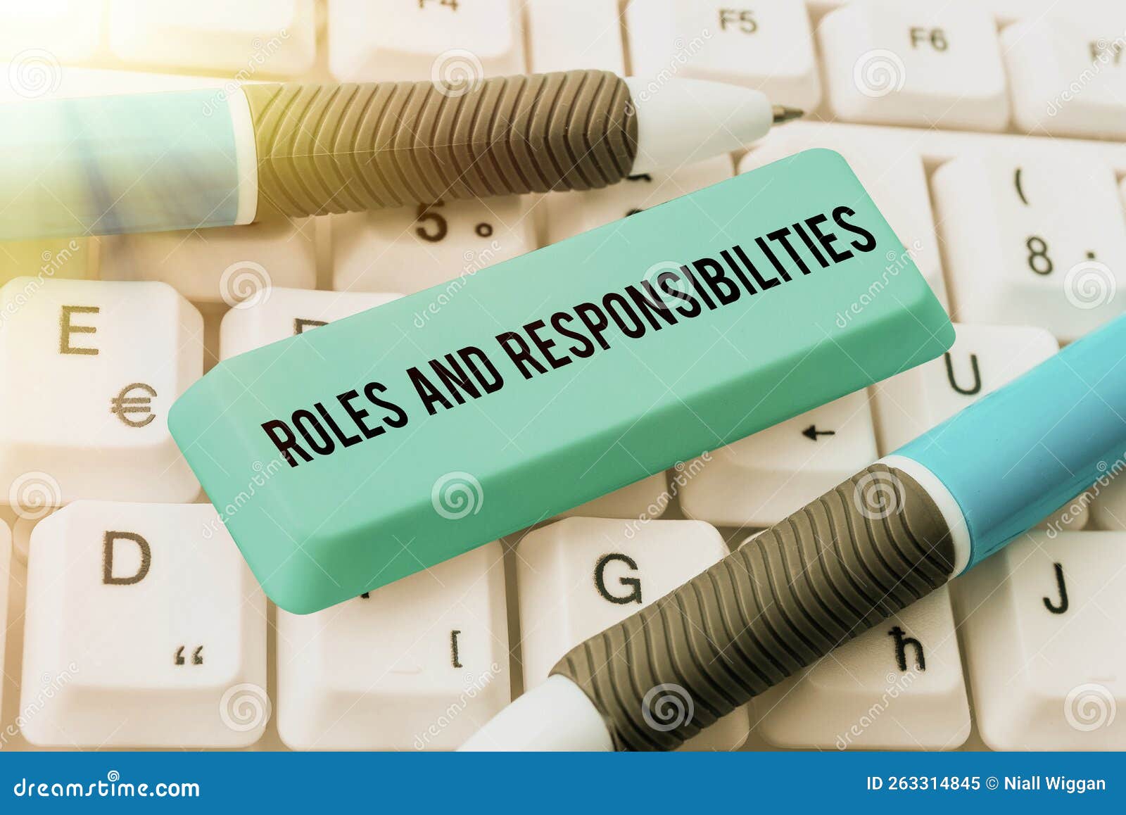 Conceptual Display Roles and Responsibilities. Word for Business ...