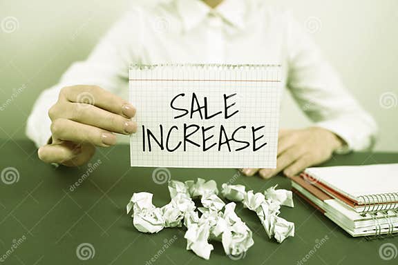 Conceptual Display Sale Increase. Business Overview Average Sales ... Conceptual Display Sale Increase. Business Overview Average Sales ...