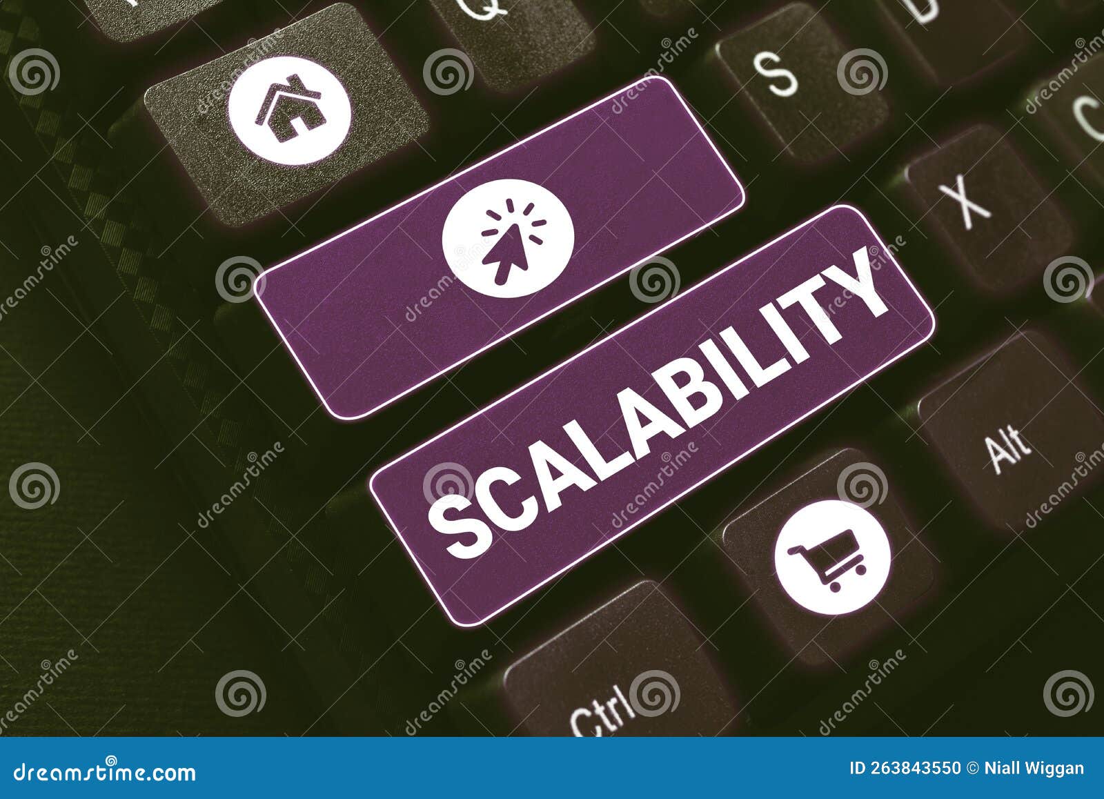 Conceptual Display Scalability. Internet Concept Capable of Being ... Conceptual Display Scalability. Internet Concept Capable of Being ...