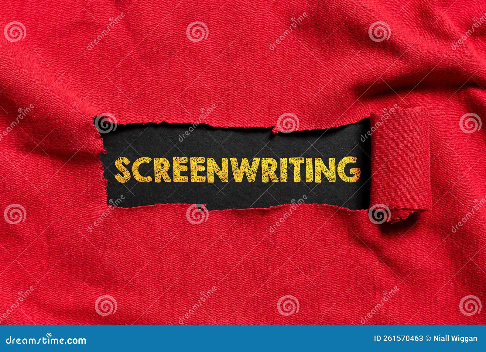Conceptual Display Screenwriting. Business Concept the Art and Craft of ...