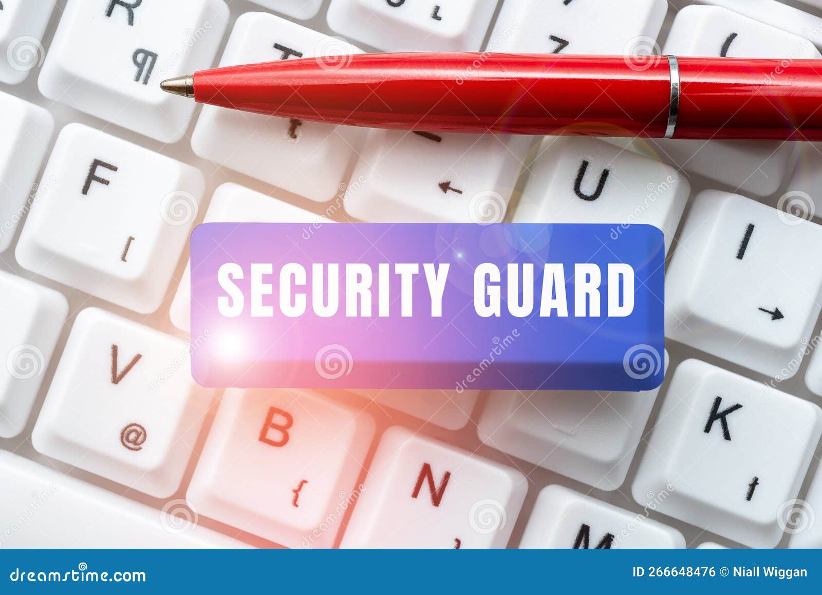 Text Sign Showing Security Guard. Concept Meaning Tools Used To Manage ...