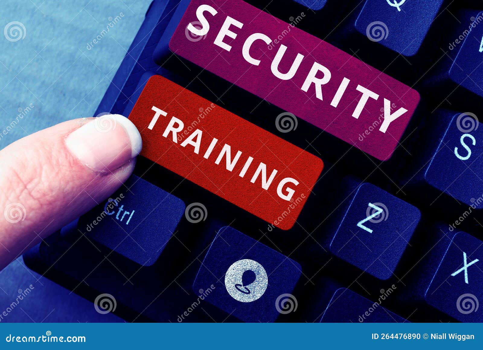 Conceptual Display Security Training. Word for Providing Security ...