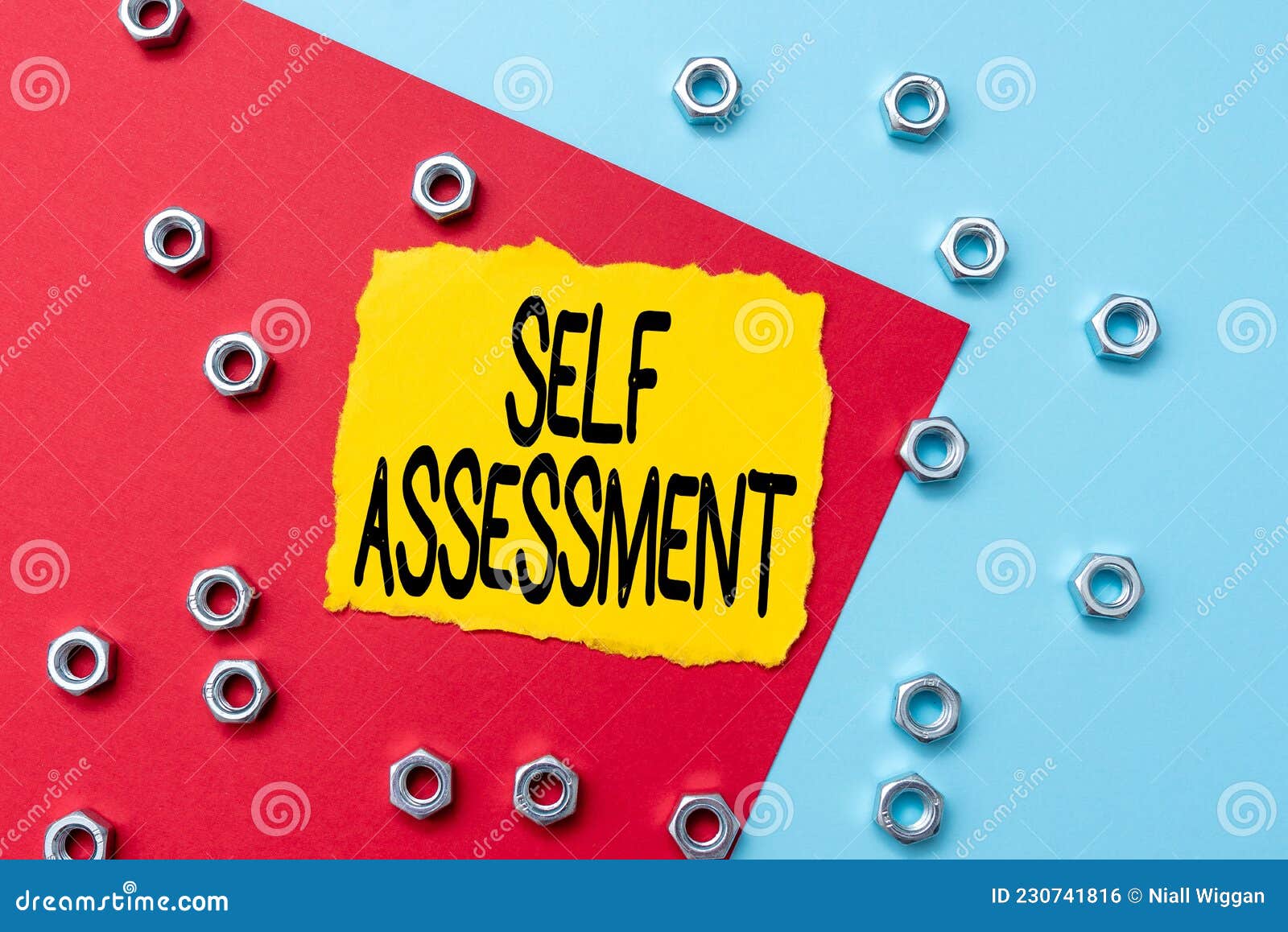 Conceptual Display Self Assessment. Business Showcase Evaluation of ... Conceptual Display Self Assessment. Business Showcase Evaluation of ...