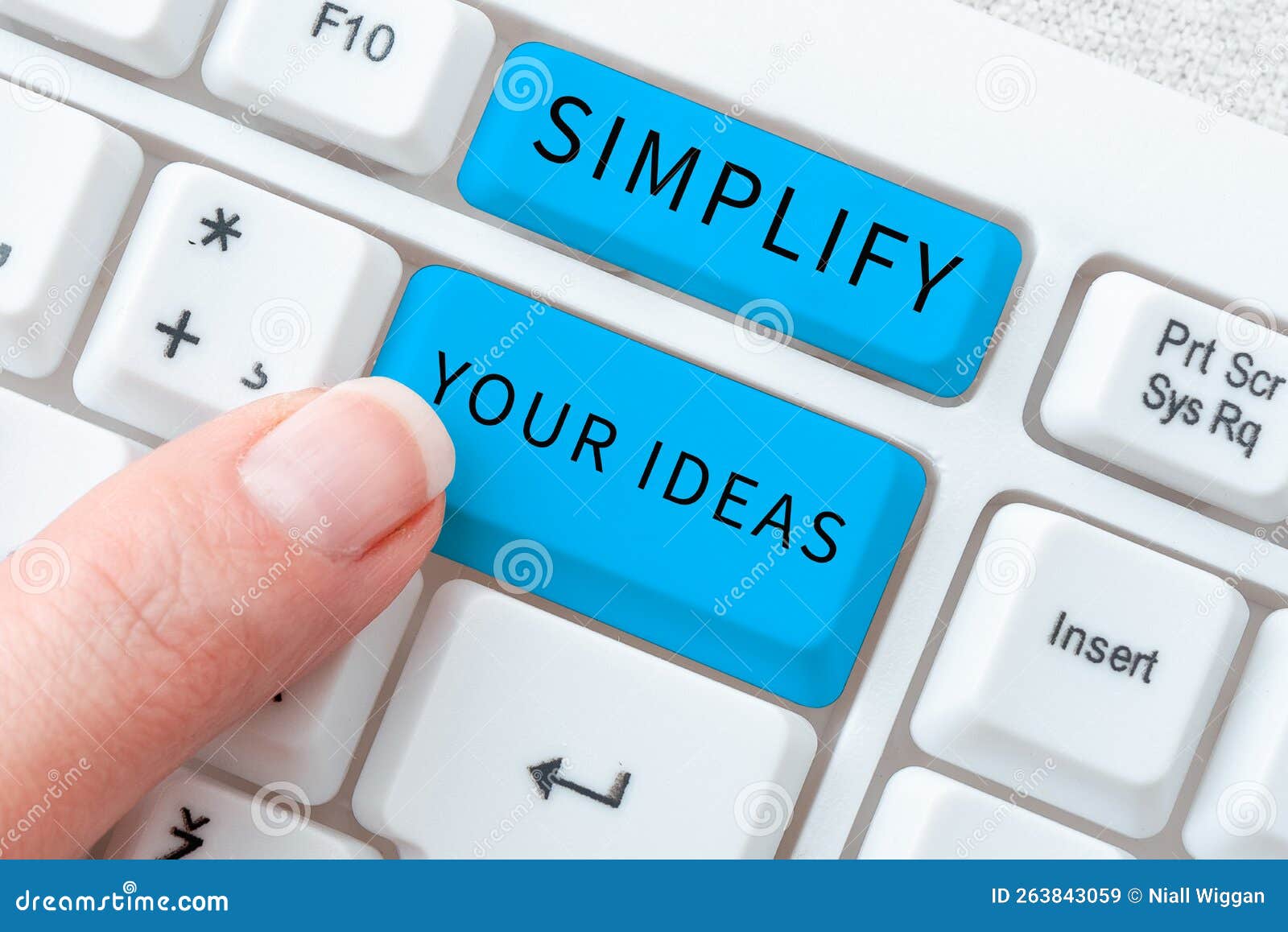 Text Caption Presenting Simplify Your Ideas. Business Overview Make ...