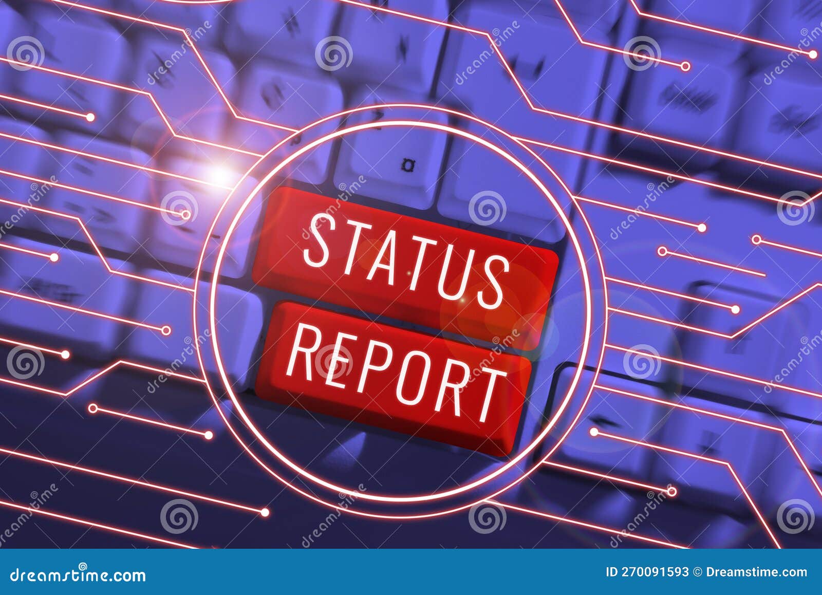 Conceptual Display Status Report. Business Showcase Update Summary of ... Conceptual Display Status Report. Business Showcase Update Summary of ...
