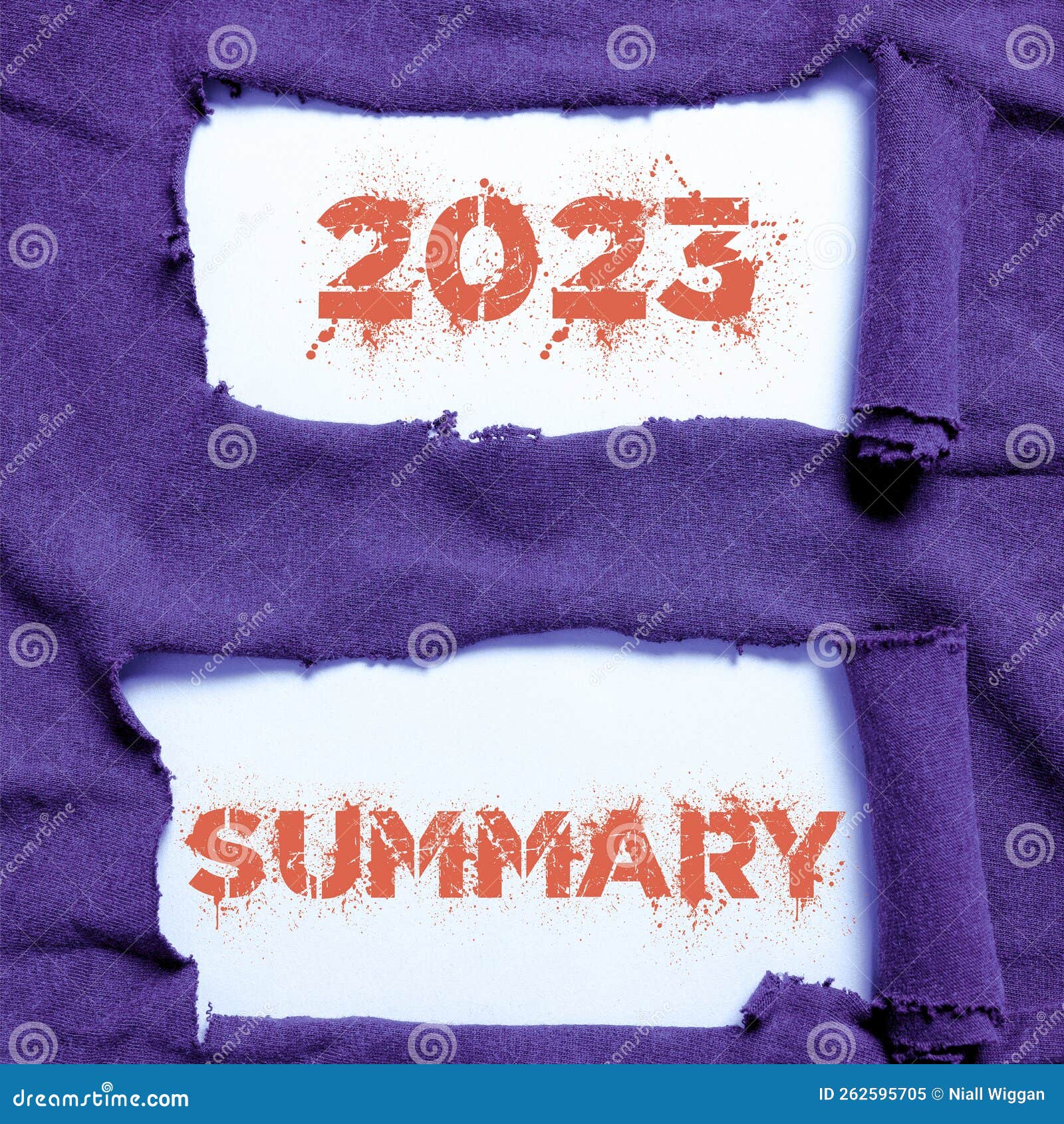 Conceptual Display 2023 Summary. Business Overview Summarizing Past ... Conceptual Display 2023 Summary. Business Overview Summarizing Past ...