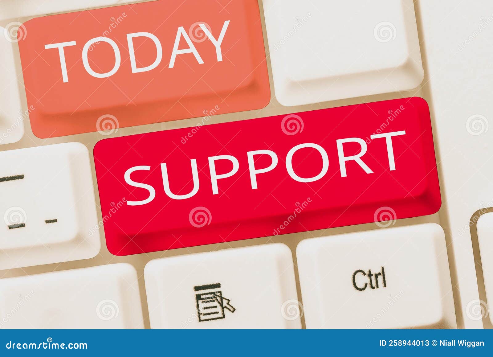 Conceptual Display Support. Concept Meaning Thing that Bears the Weight ...