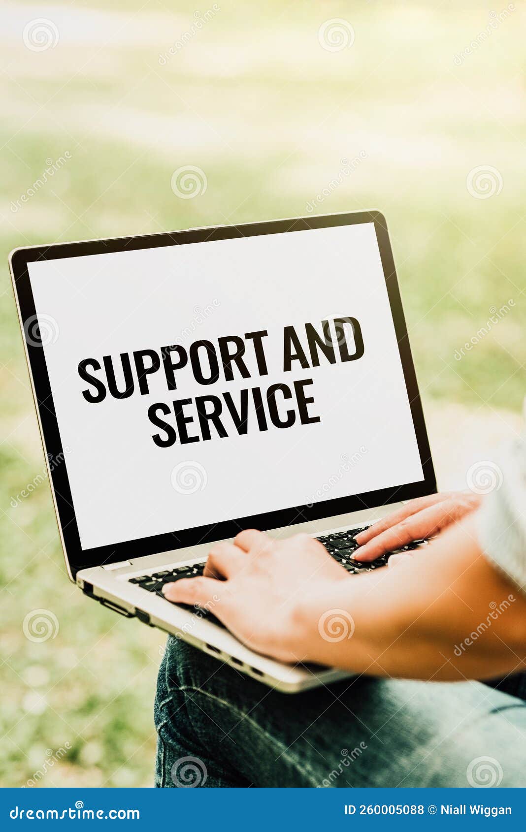 Writing Displaying Text Support and Service. Concept Meaning Technical ...