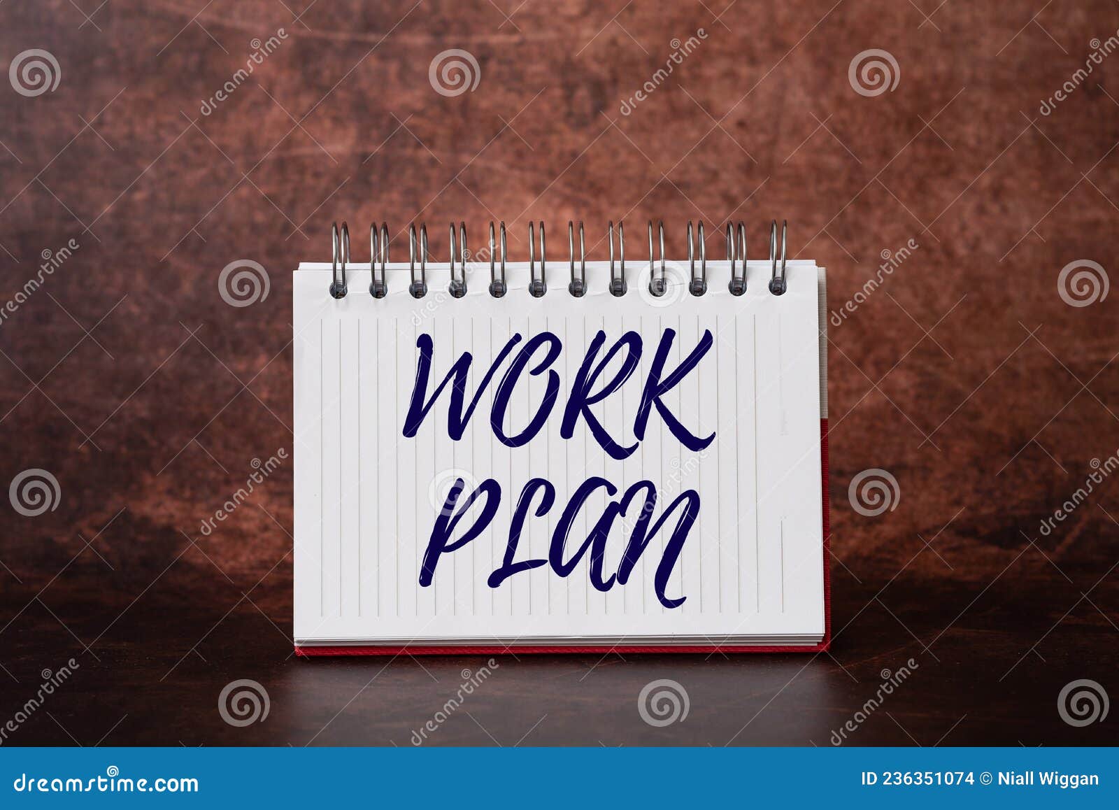 Conceptual Display Work Plan. Business Approach Project To Be ...