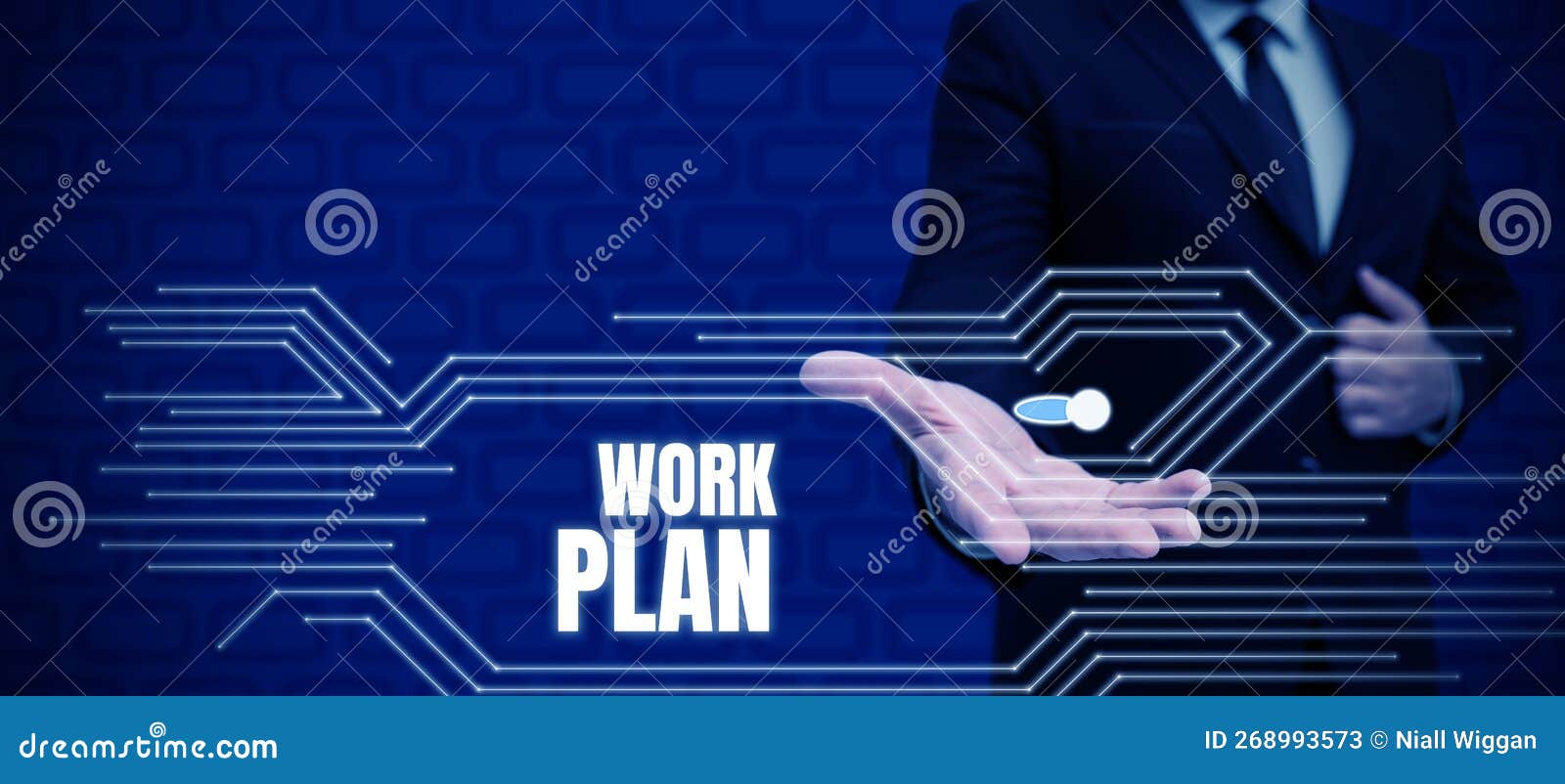 Conceptual Display Work Plan. Word for Project To Be Accomplished and ...