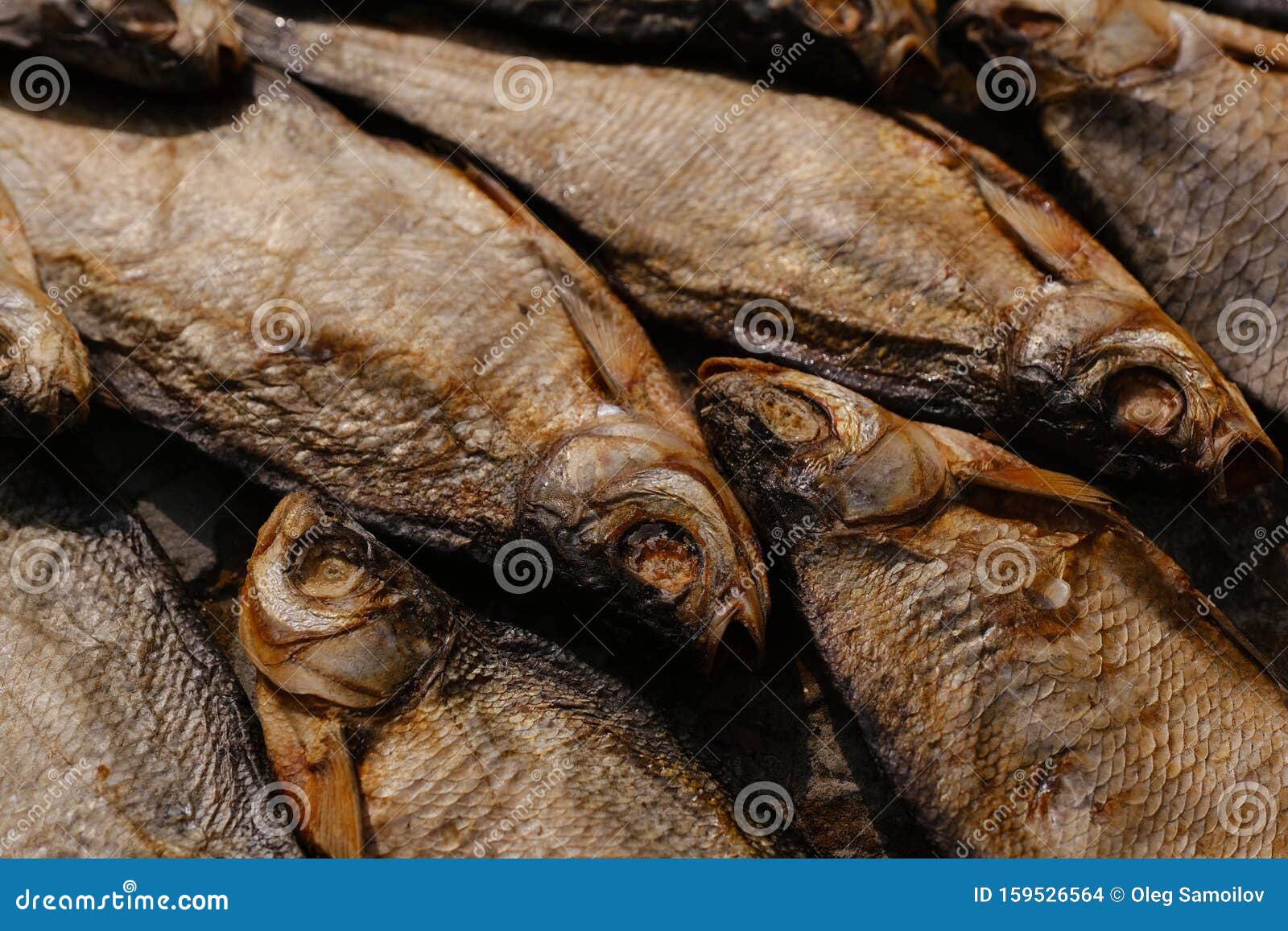Conceptual Flat Background of Dried Fish. Vobla Stock Photo - Image of ...
