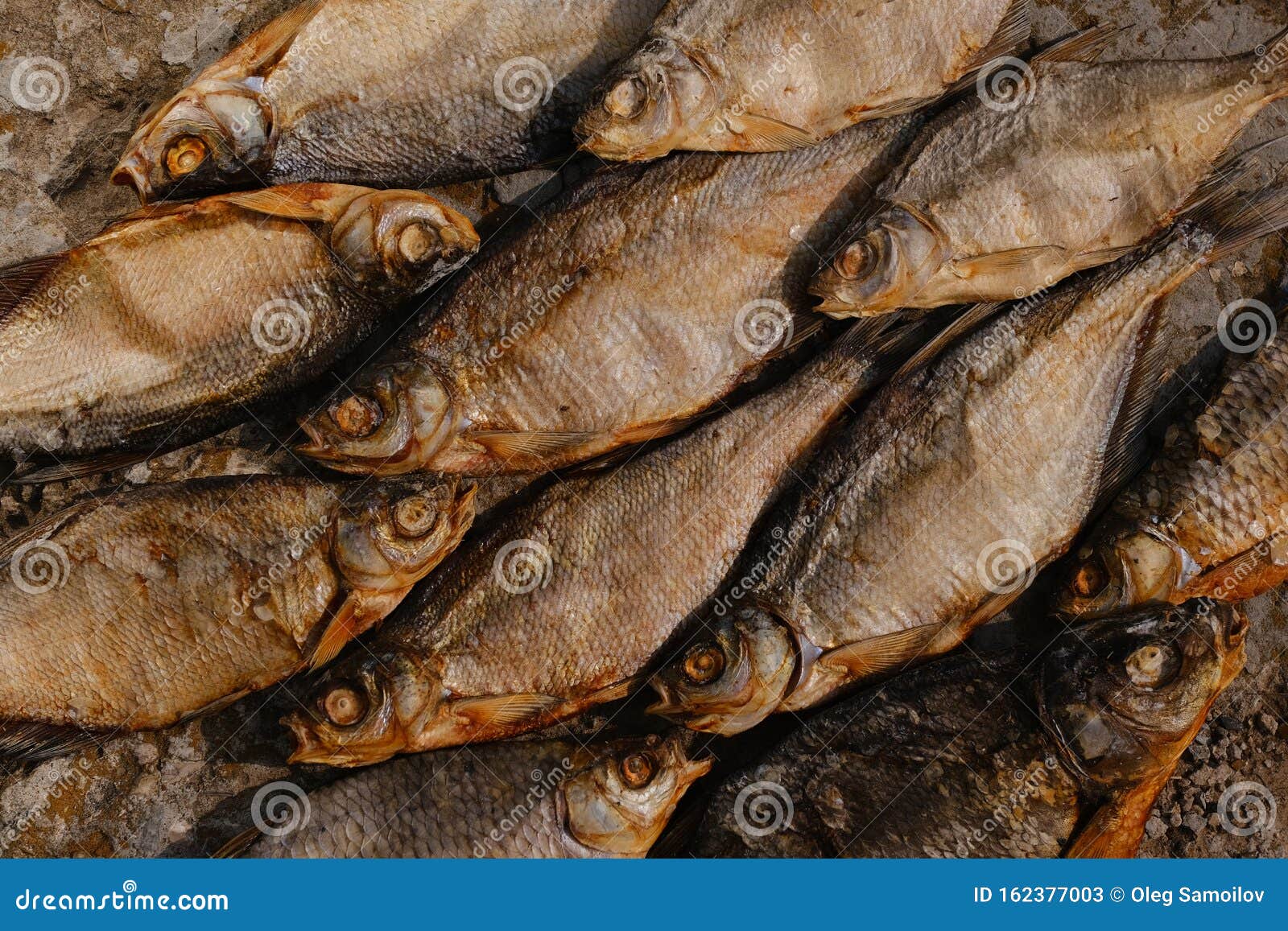 Conceptual Flat Background of Dried Fish. Vobla Stock Image - Image of ...