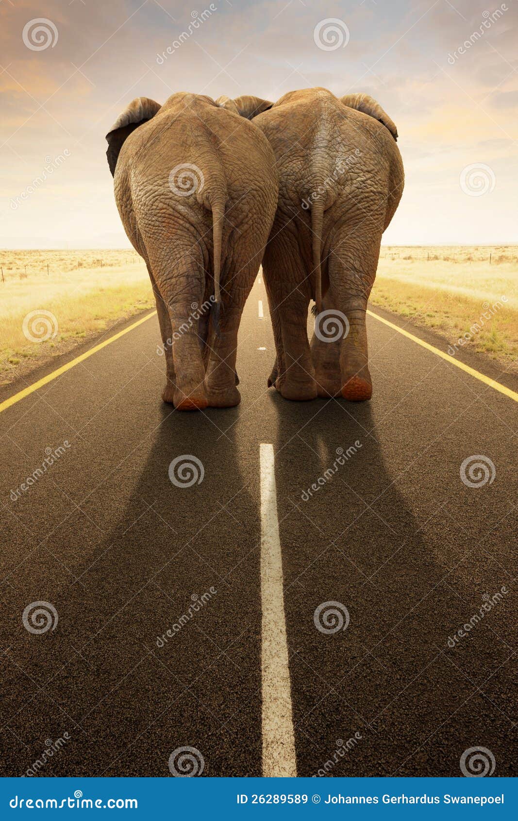 Conceptual - Going Away Together / Travel by Road Stock Image - Image ...
