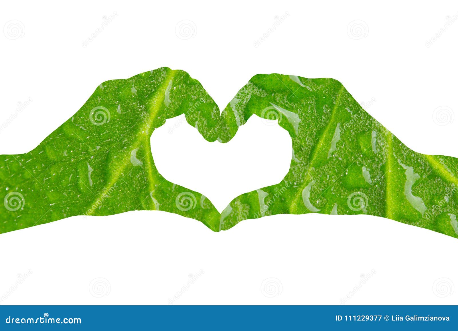 Conceptual Green Hand in Heart Shape Stock Image - Image of human ...