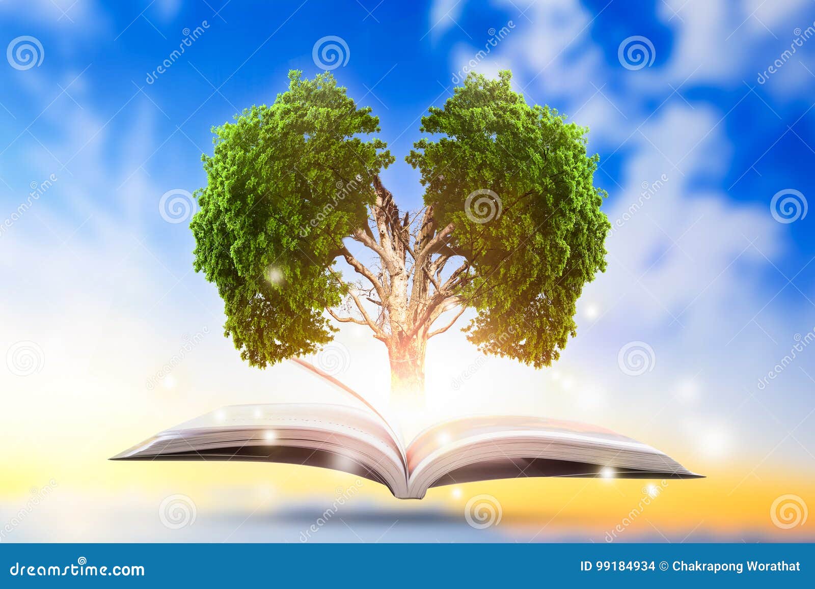 Conceptual with Green Tree of Brain Growing from Book. Stock Photo ...