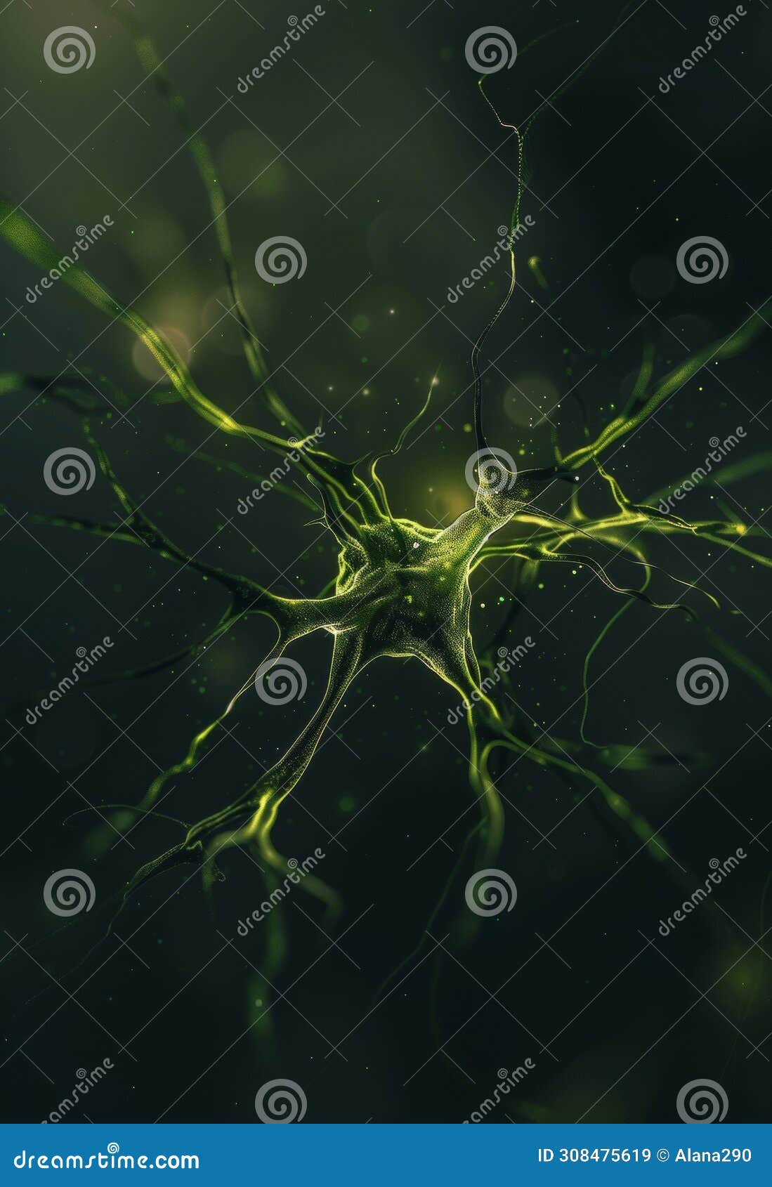 Neurone Cell Structure Cartoon Vector | CartoonDealer.com #76056395