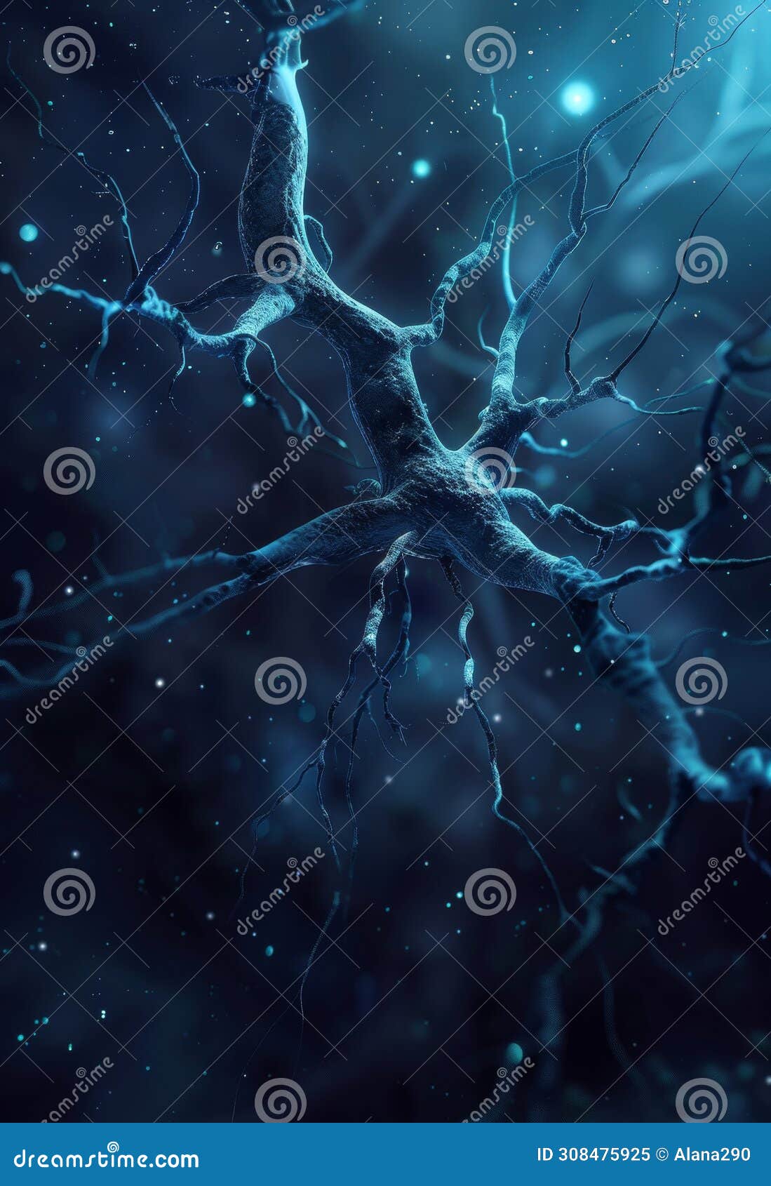 Neurone Cell Structure Cartoon Vector | CartoonDealer.com #76056395