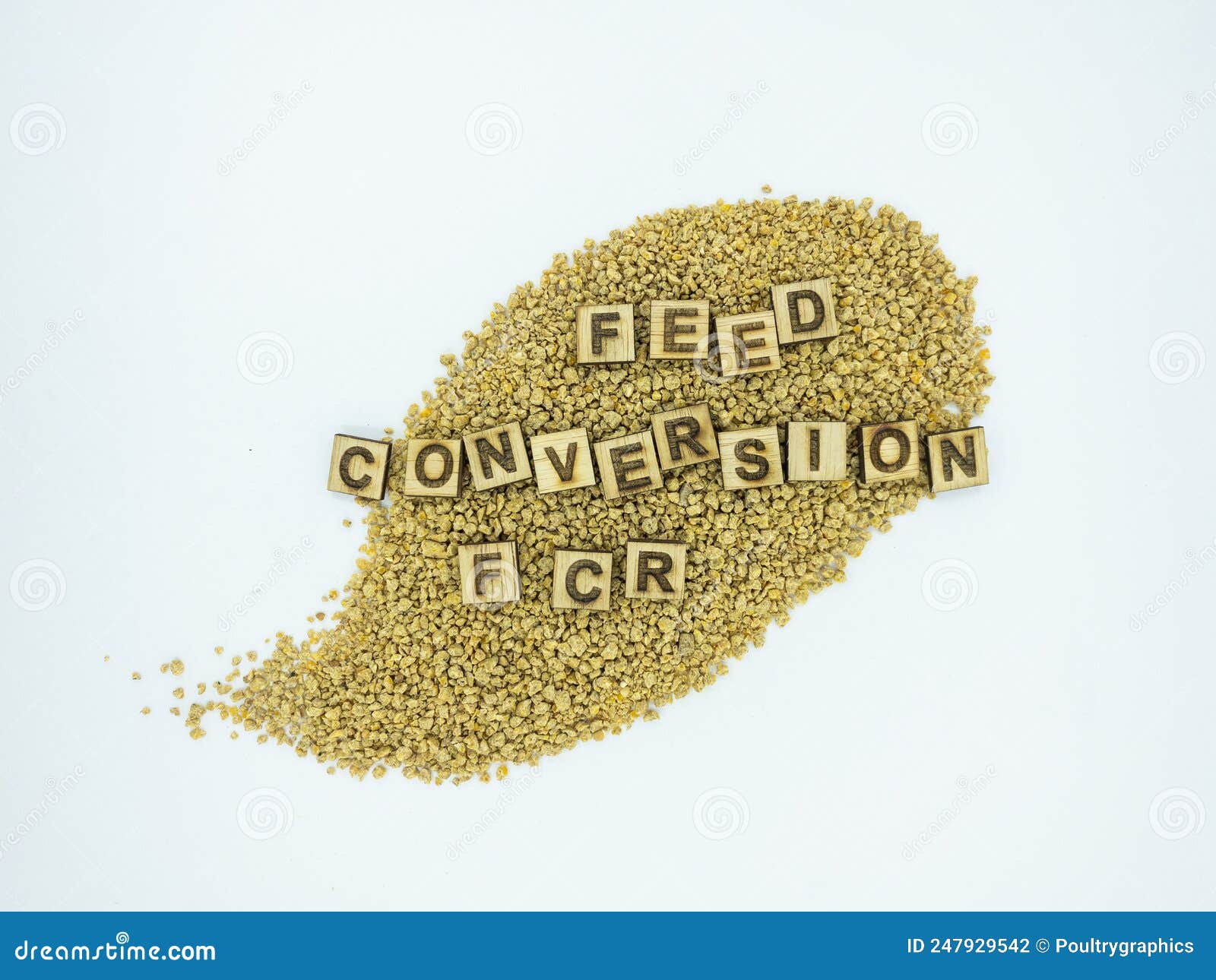 Using Enzymes and Acidifiers in Animal Feeds for Improve Digestibility ...