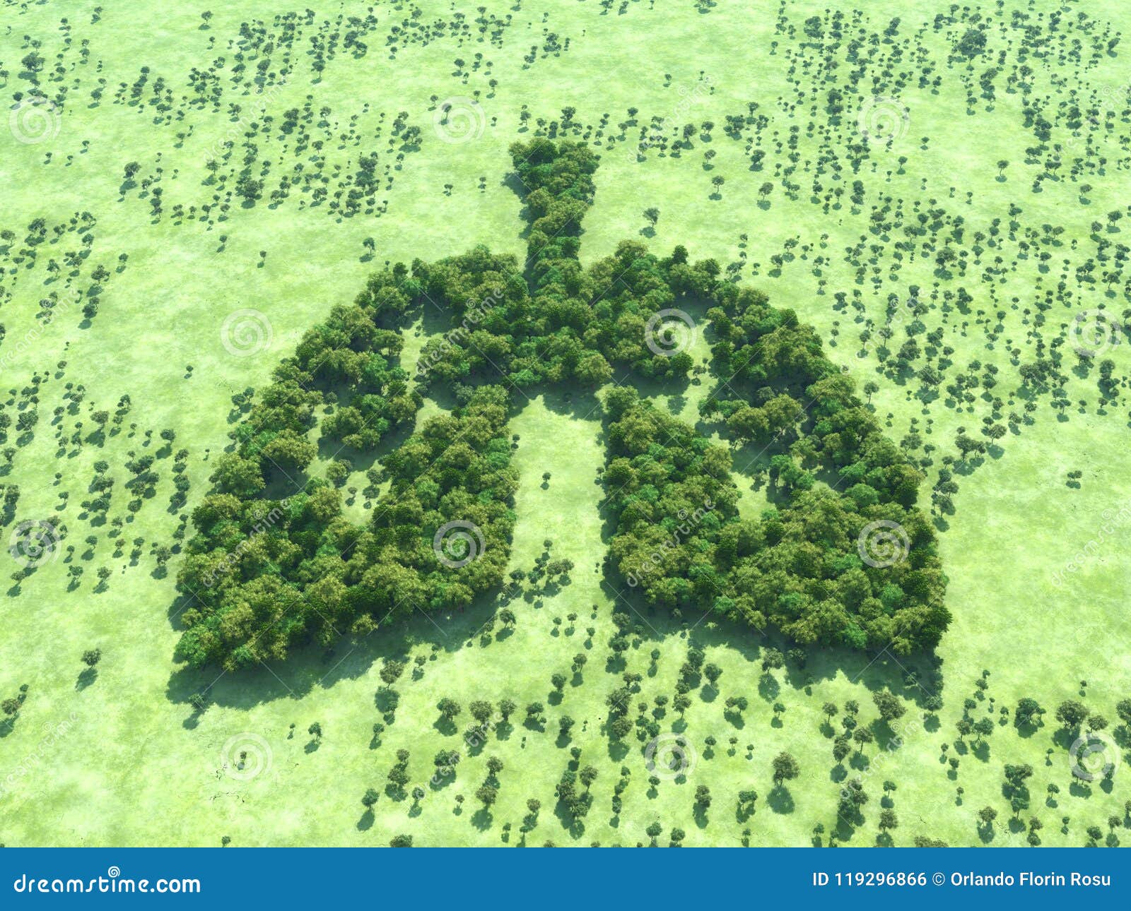 Conceptual Image of a Forest in Shape of Lungs Stock Illustration ...