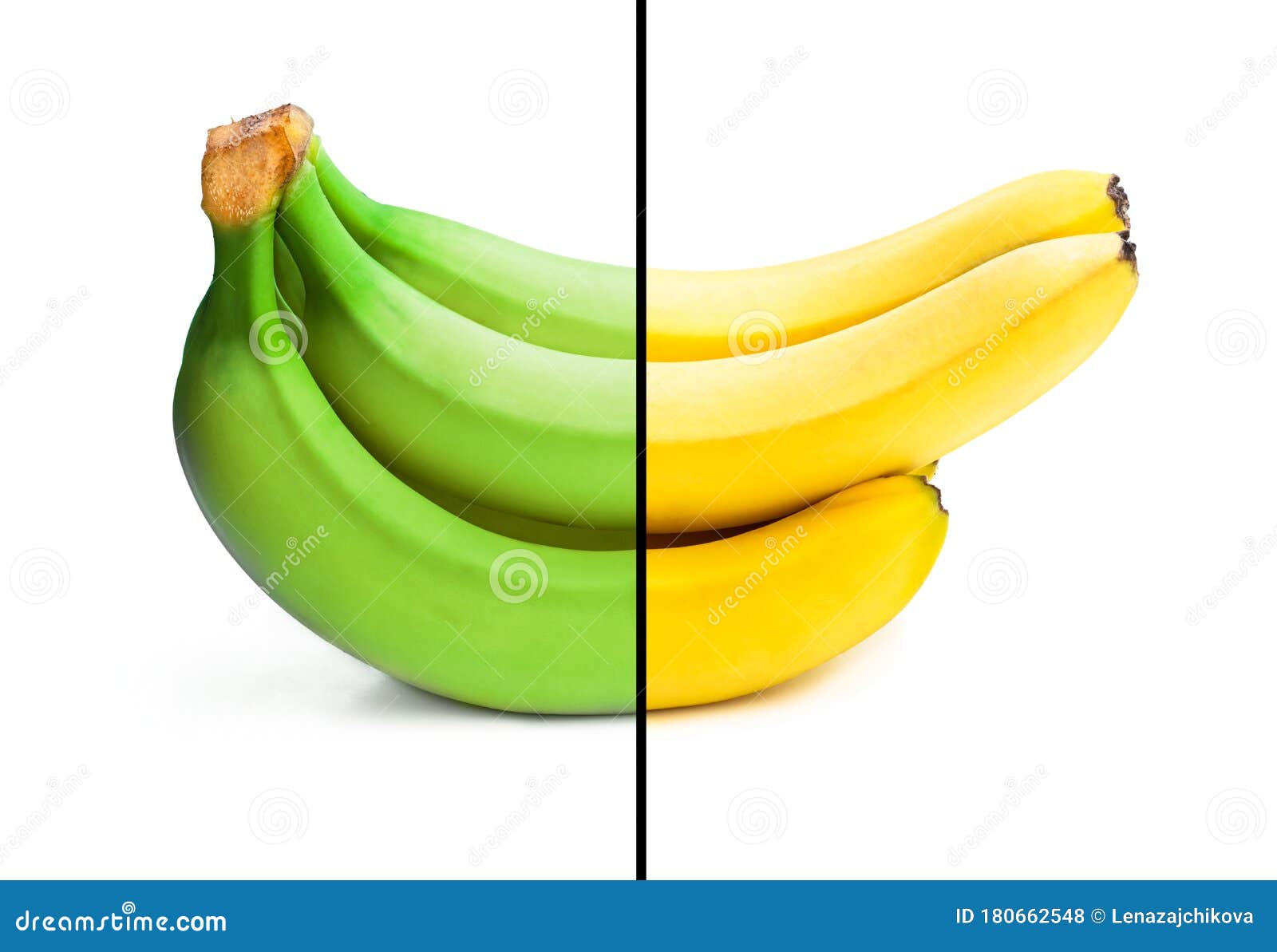 Conceptual Image of Half Ripe Banana Bunch Showing Different Stages ...
