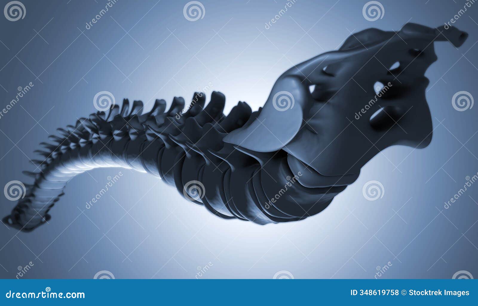 Conceptual Image of Human Backbone. Stock Illustration - Illustration ...