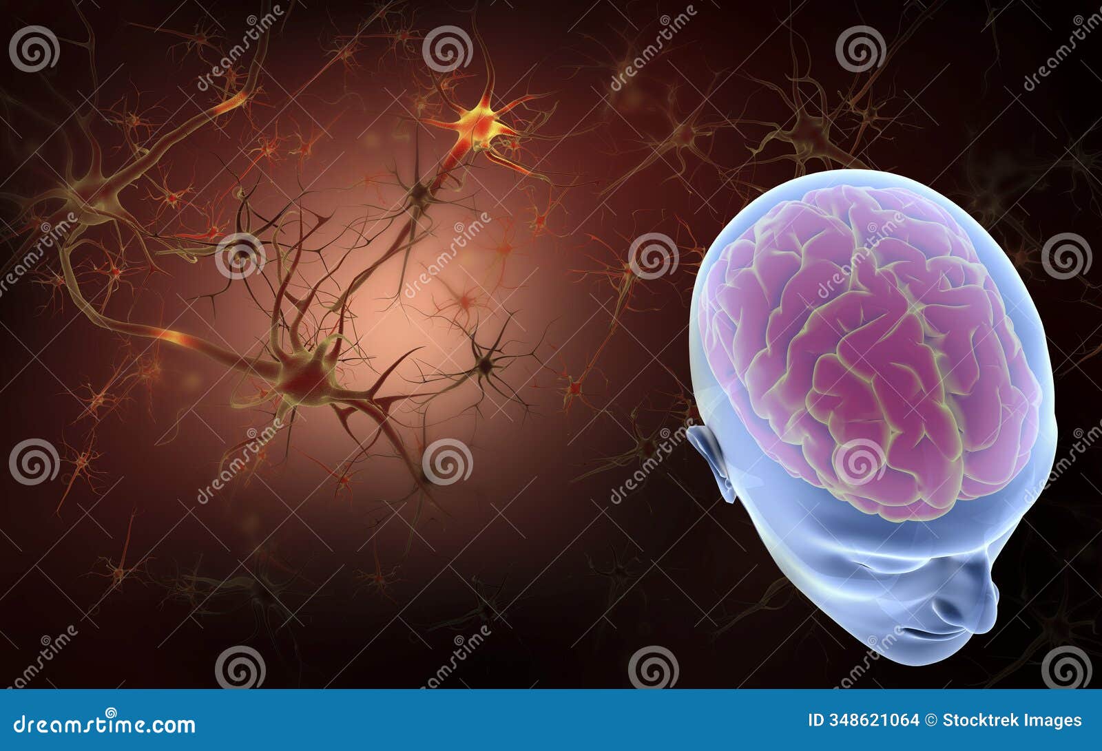 Conceptual Image of Human Brain with Neurons. Stock Illustration ...