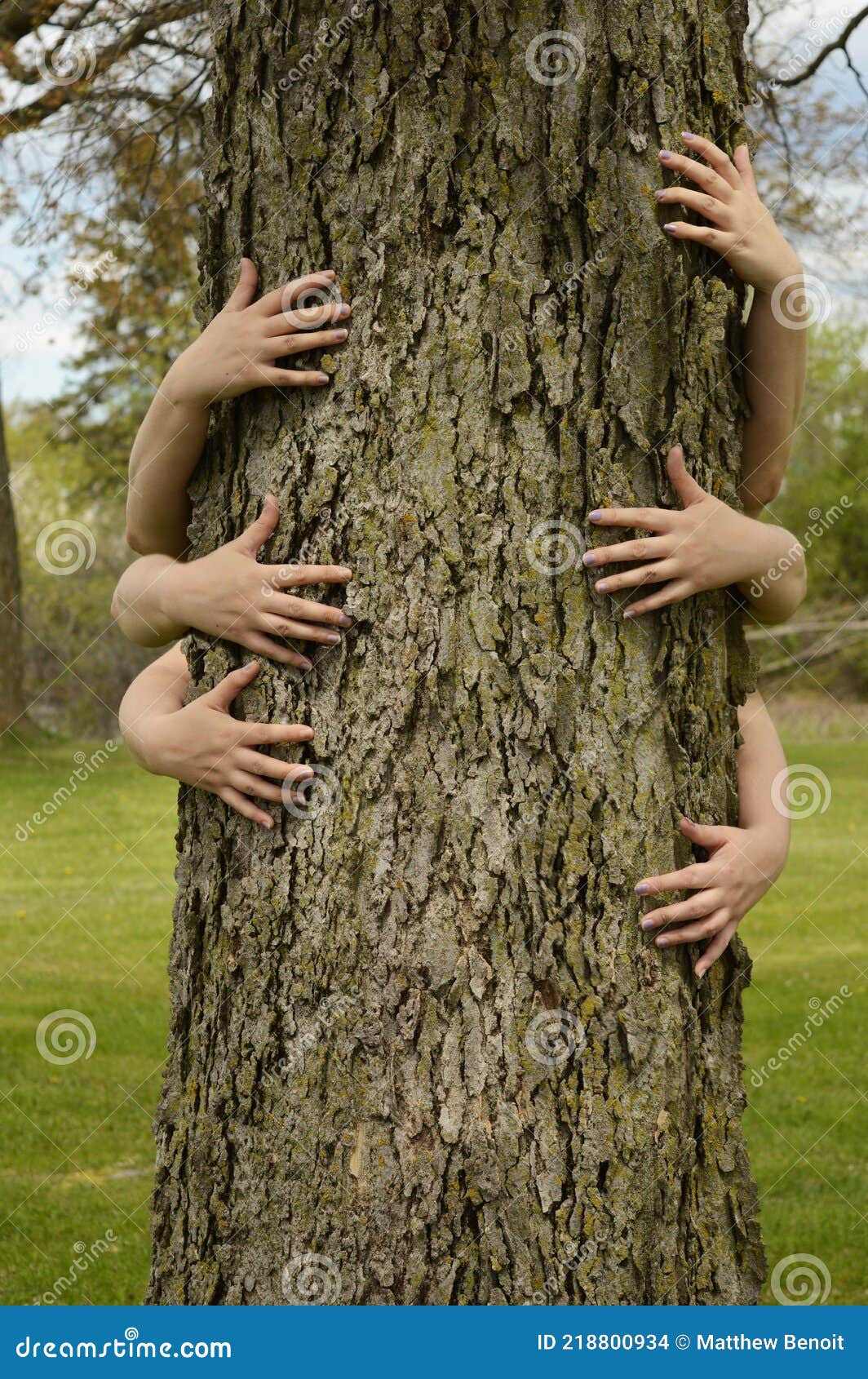 Tree Hugging Environmentalists Stock Photo - Image of embracing ...
