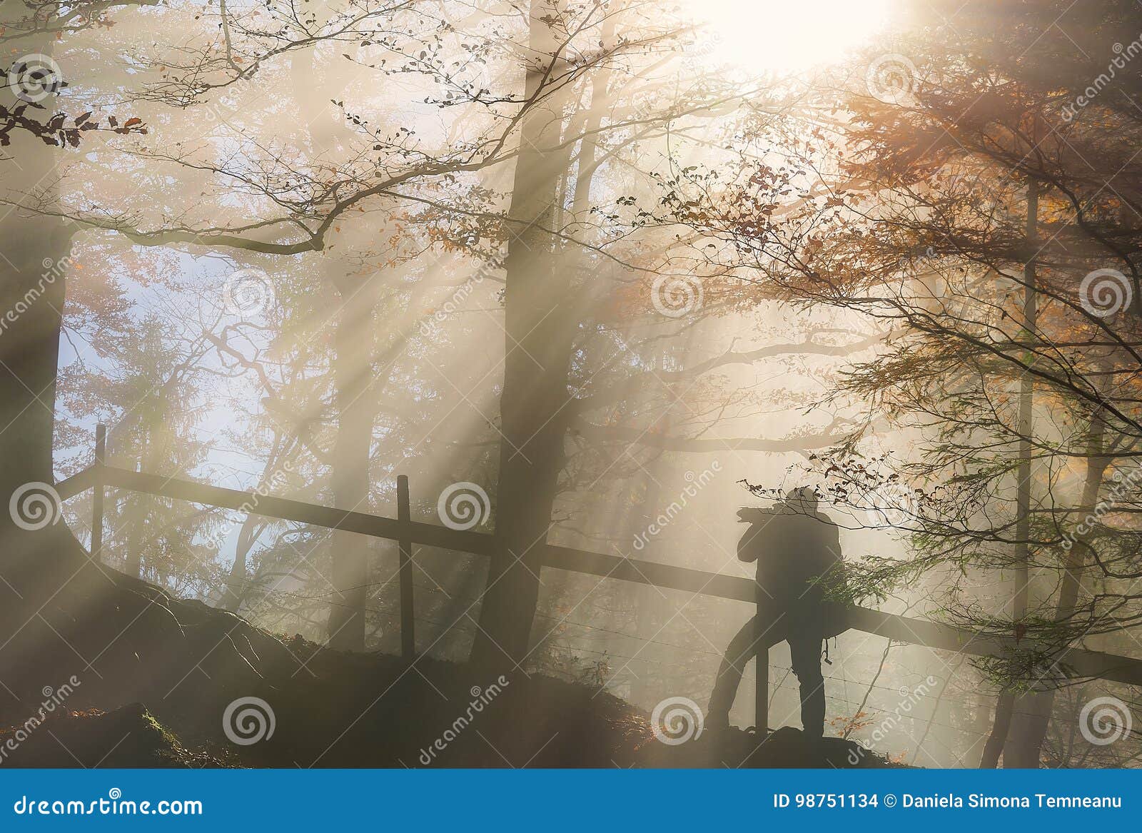 Silhouette of a Man Under Sun Rays in Autumn Colors Stock Photo - Image ...