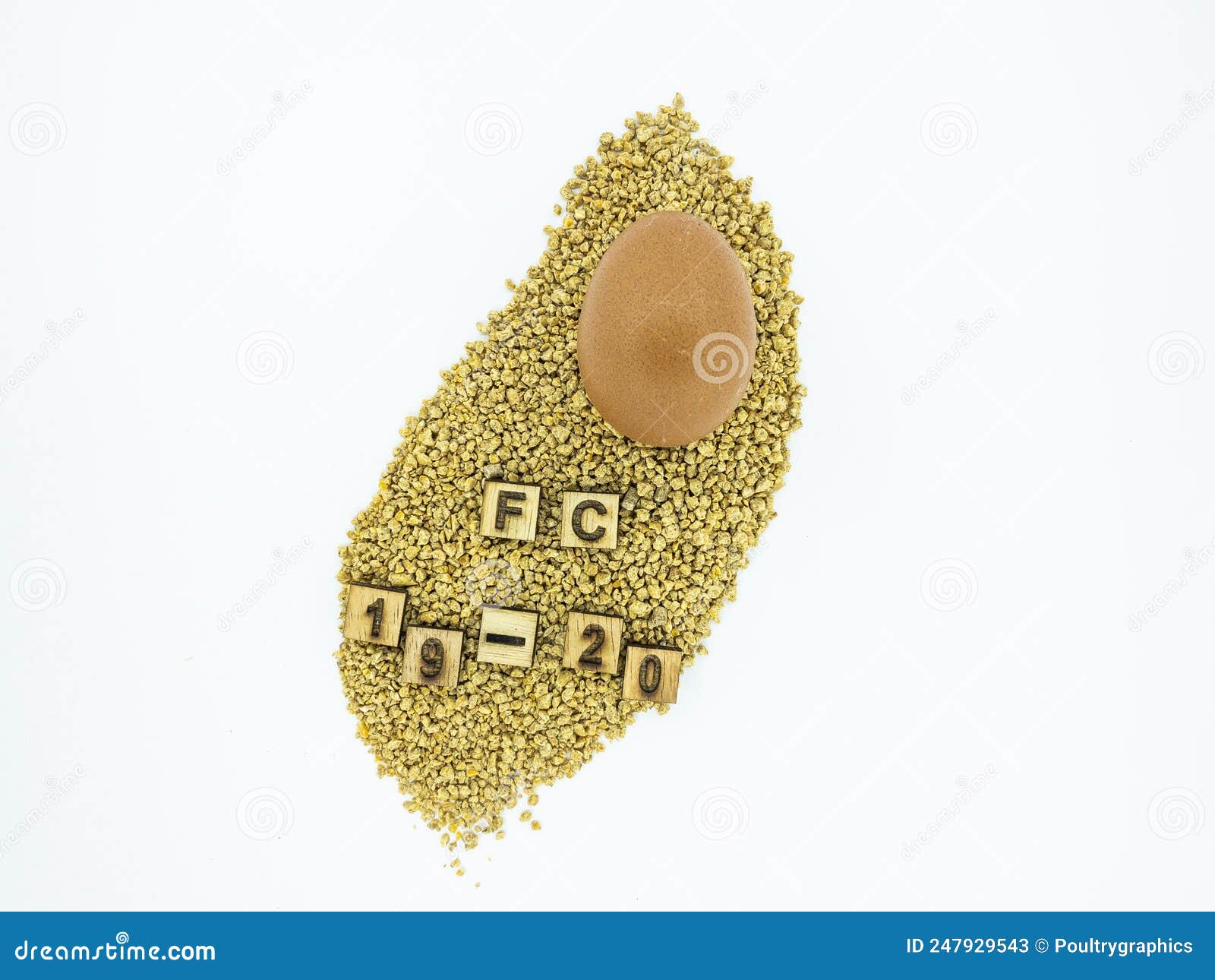 Standard FCR for Layer Chicken Flock, Performance Indicator Stock Image ...