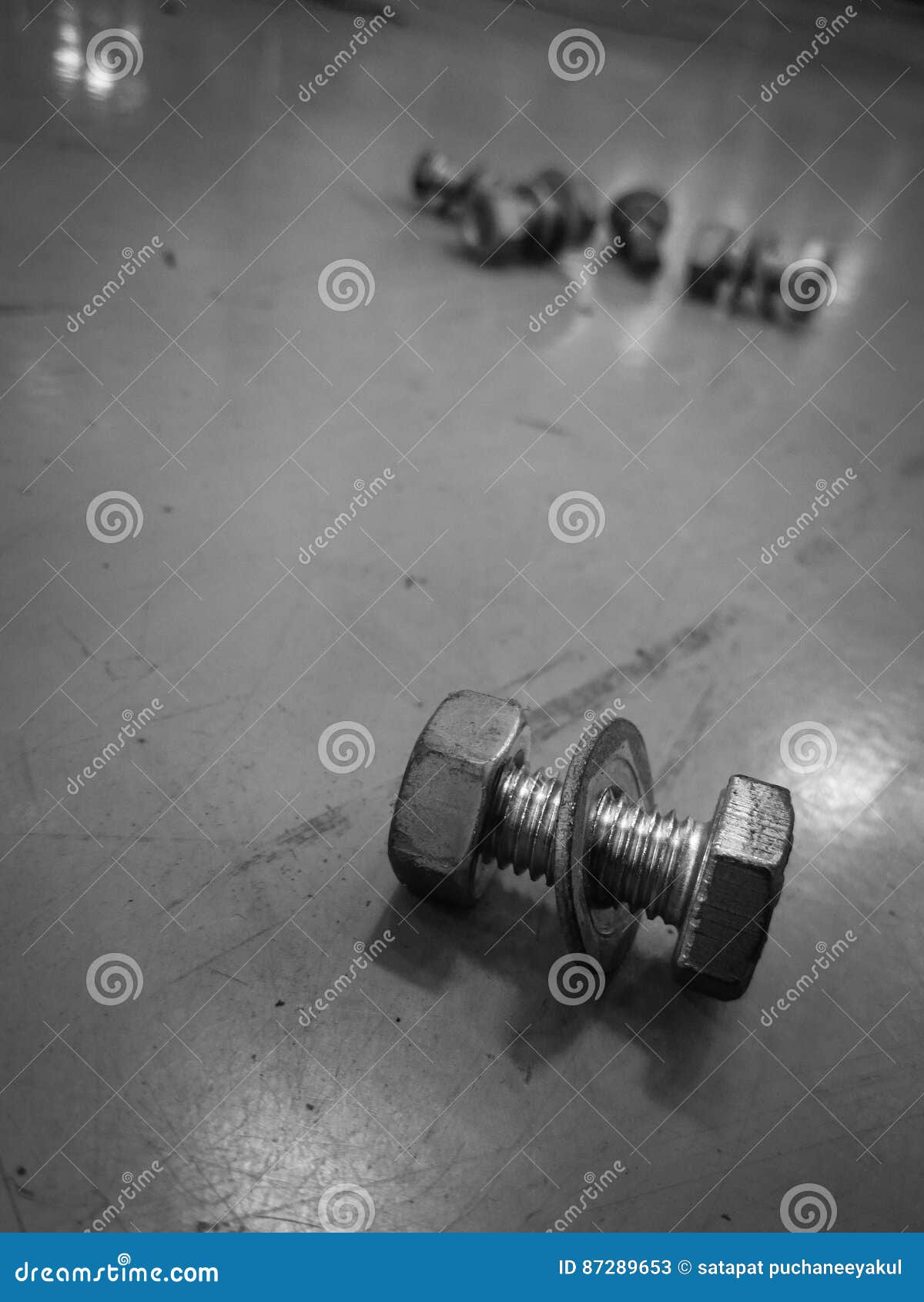 Conceptual Photo with the Leader Concept that Present by Bolt&nut. the ...
