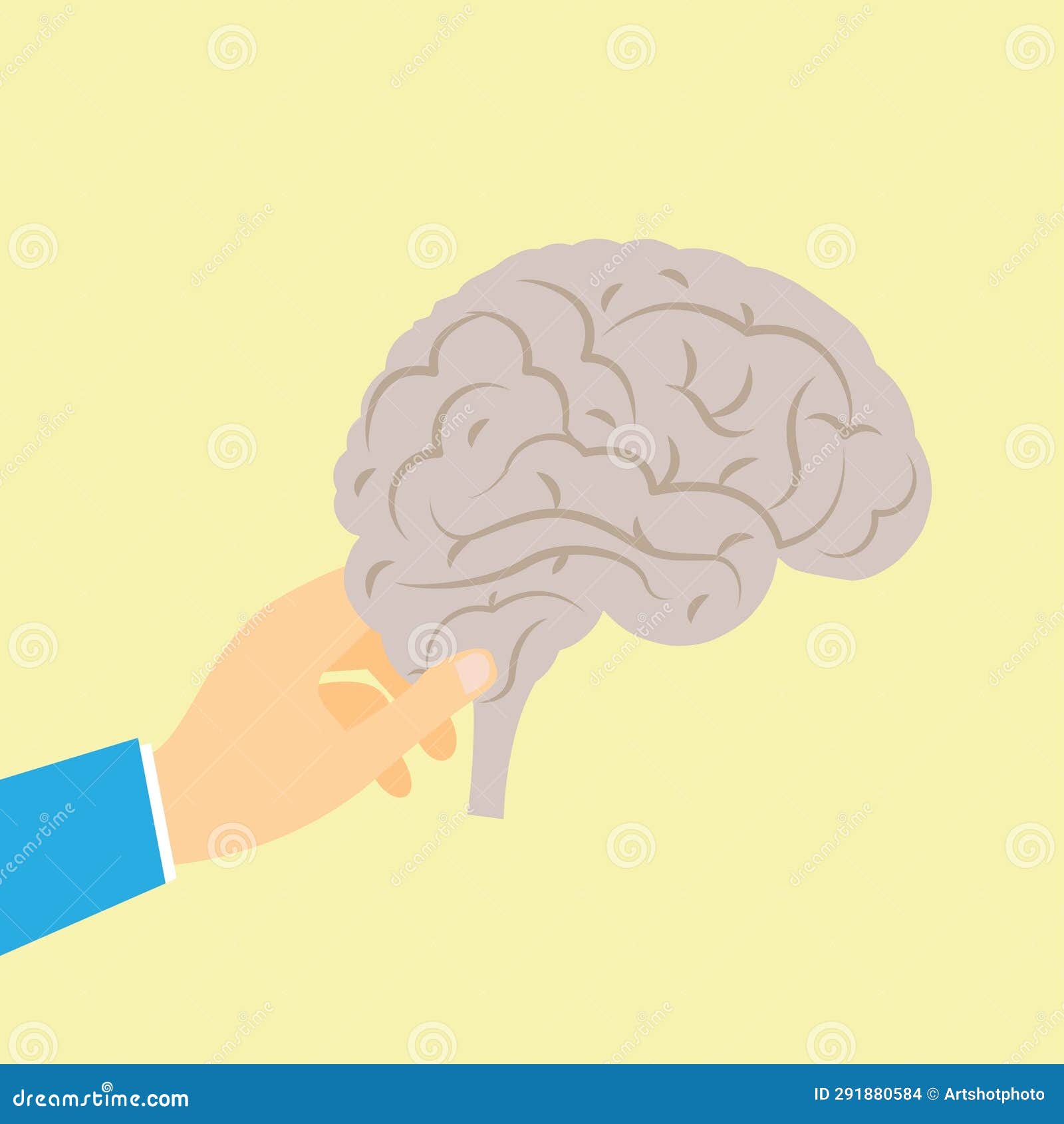 Conceptual Vector of a Human Hand Holding a Brain Stock Vector ...