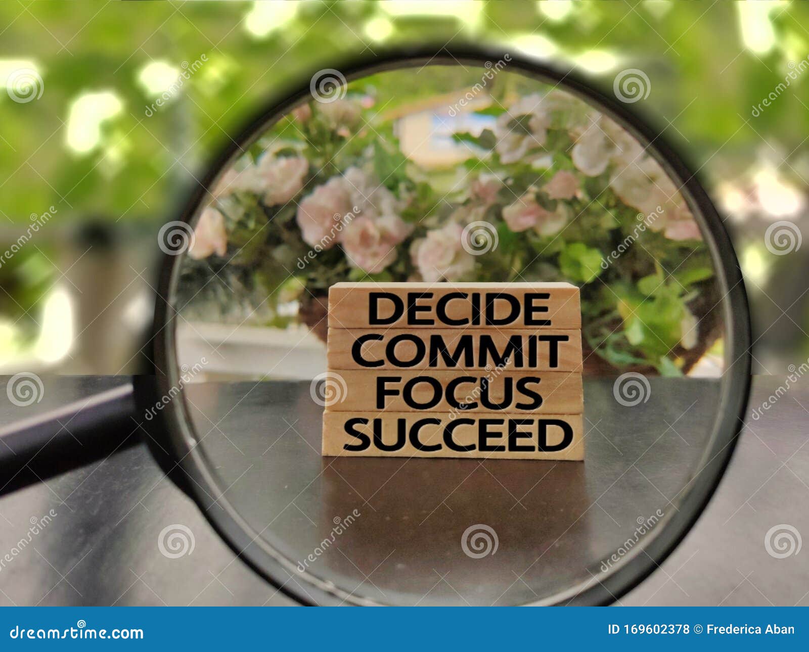 Conceptual Words of Decide Commit Focus Succeed on Wooden Blocks with ...