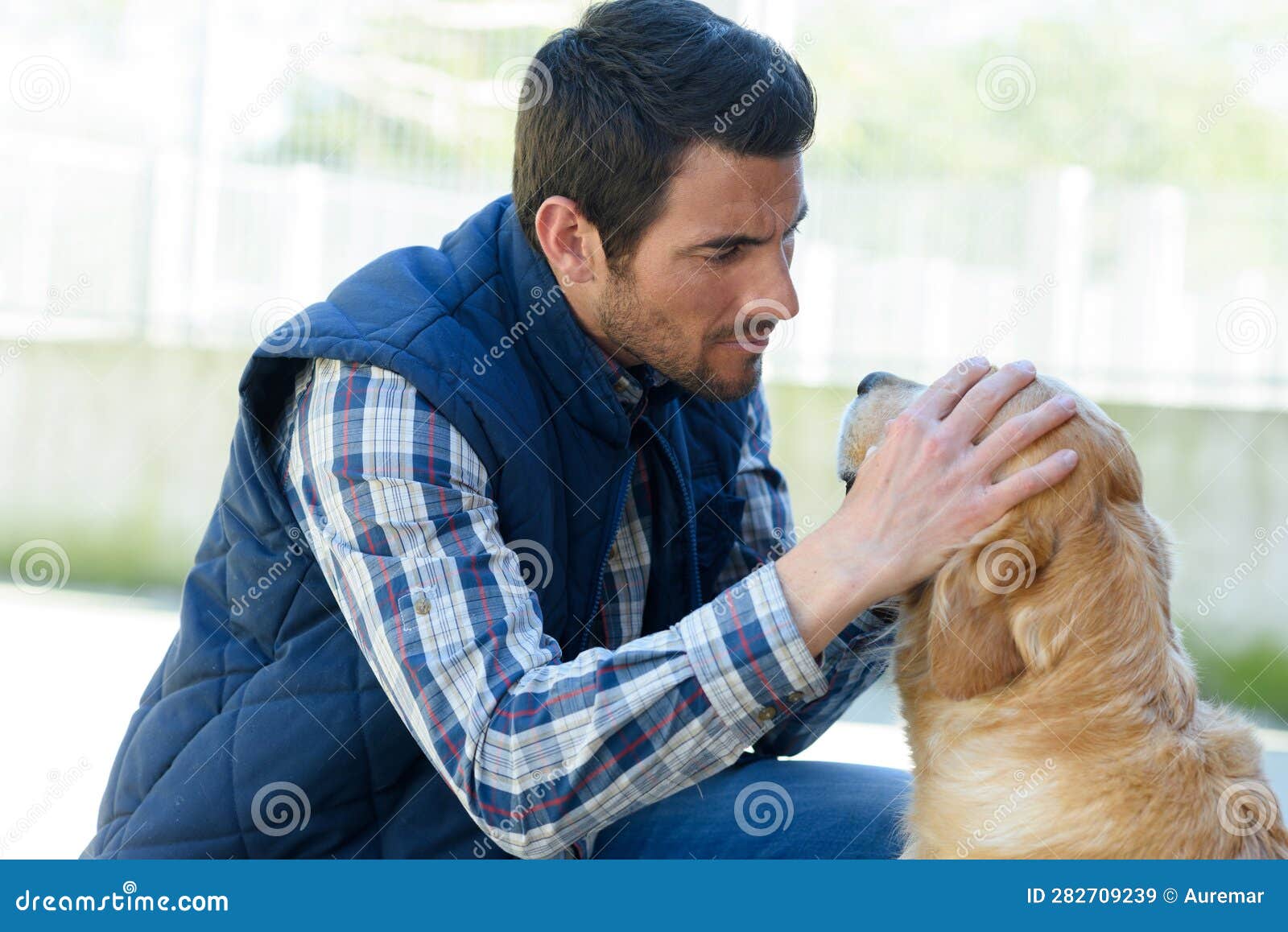 Concerned Male Vet Checking Dogs Eyes Stock Image - Image of youngadult ...